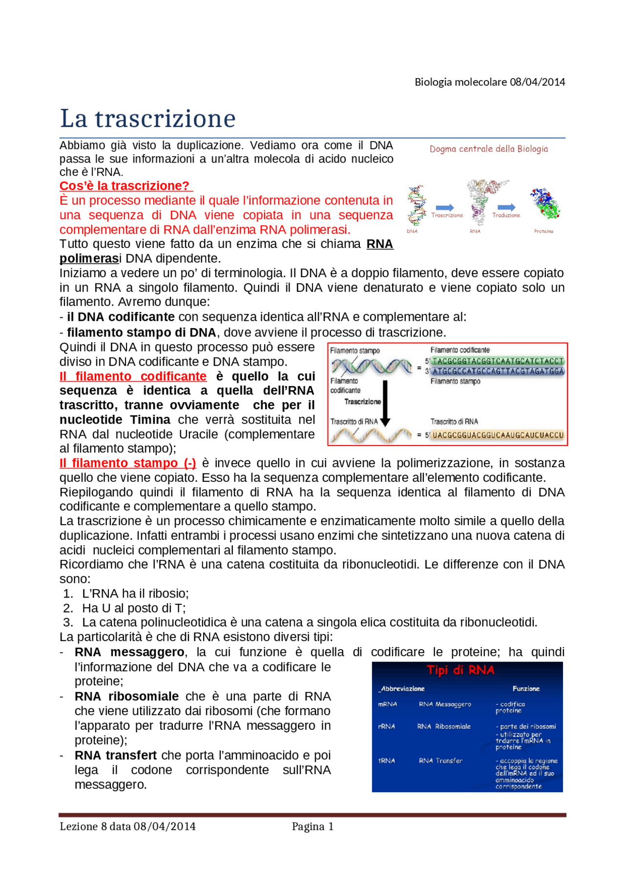 Trascrizione Cellulare Docsity