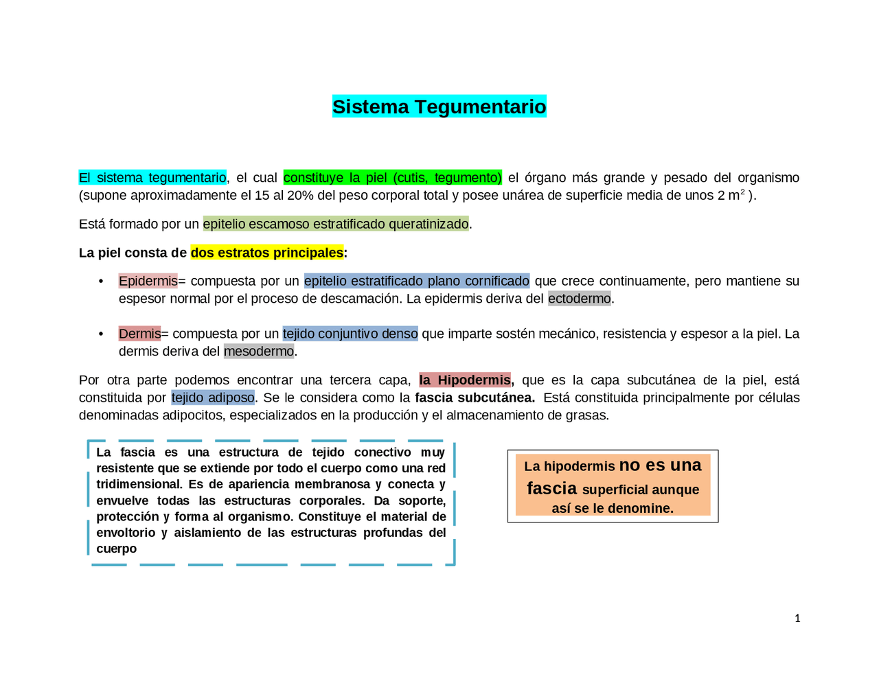 Histología De Sistema Tegumentario Docsity