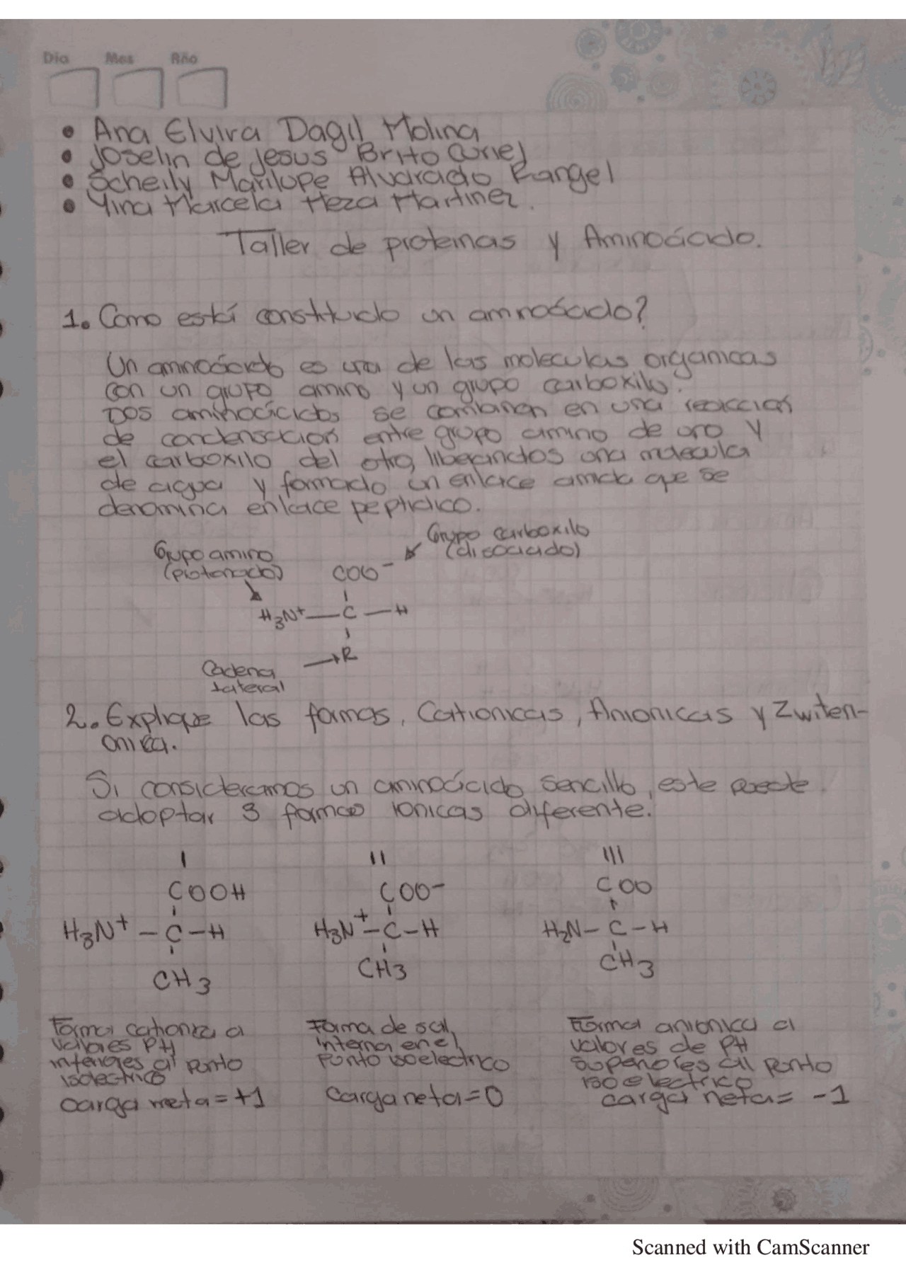 Taller De Proteínas Y Enzimas Docsity