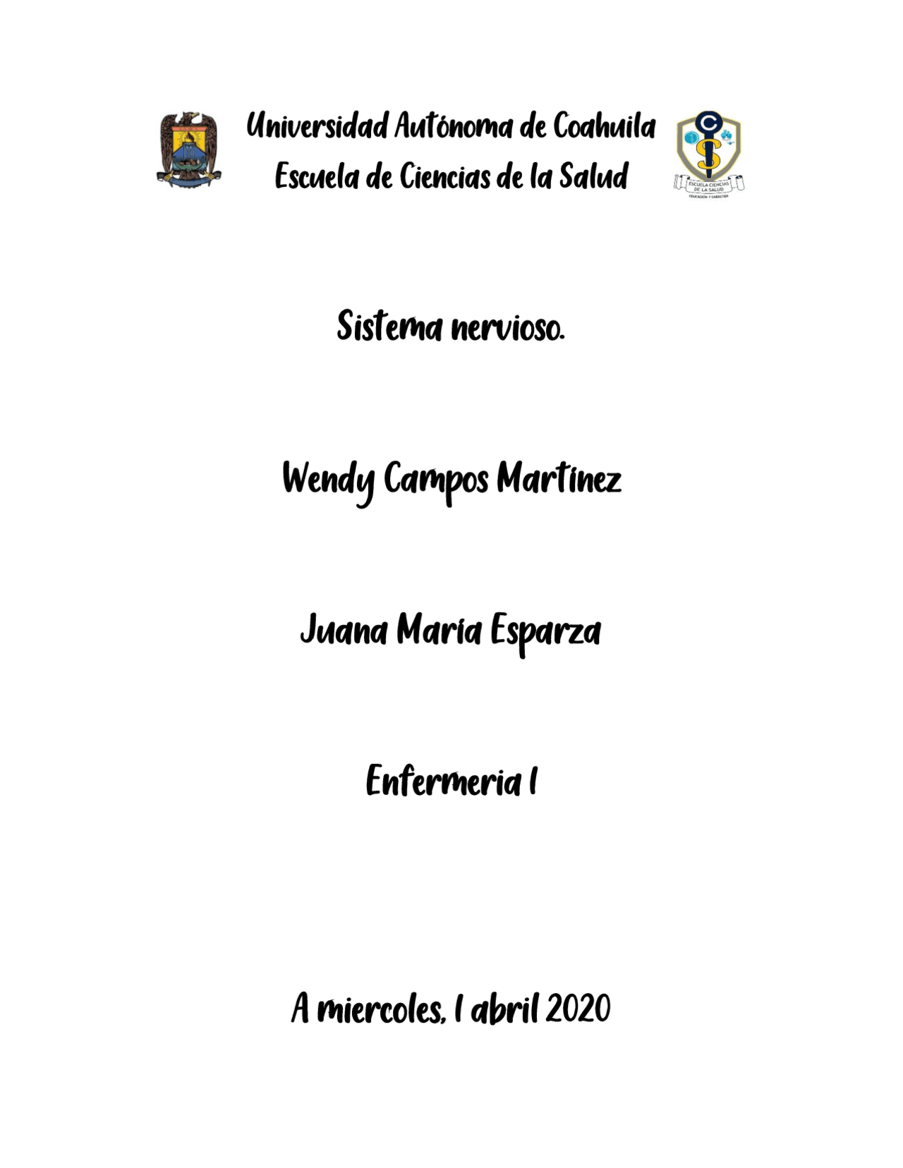 Sistema Nervioso Resumen Docsity