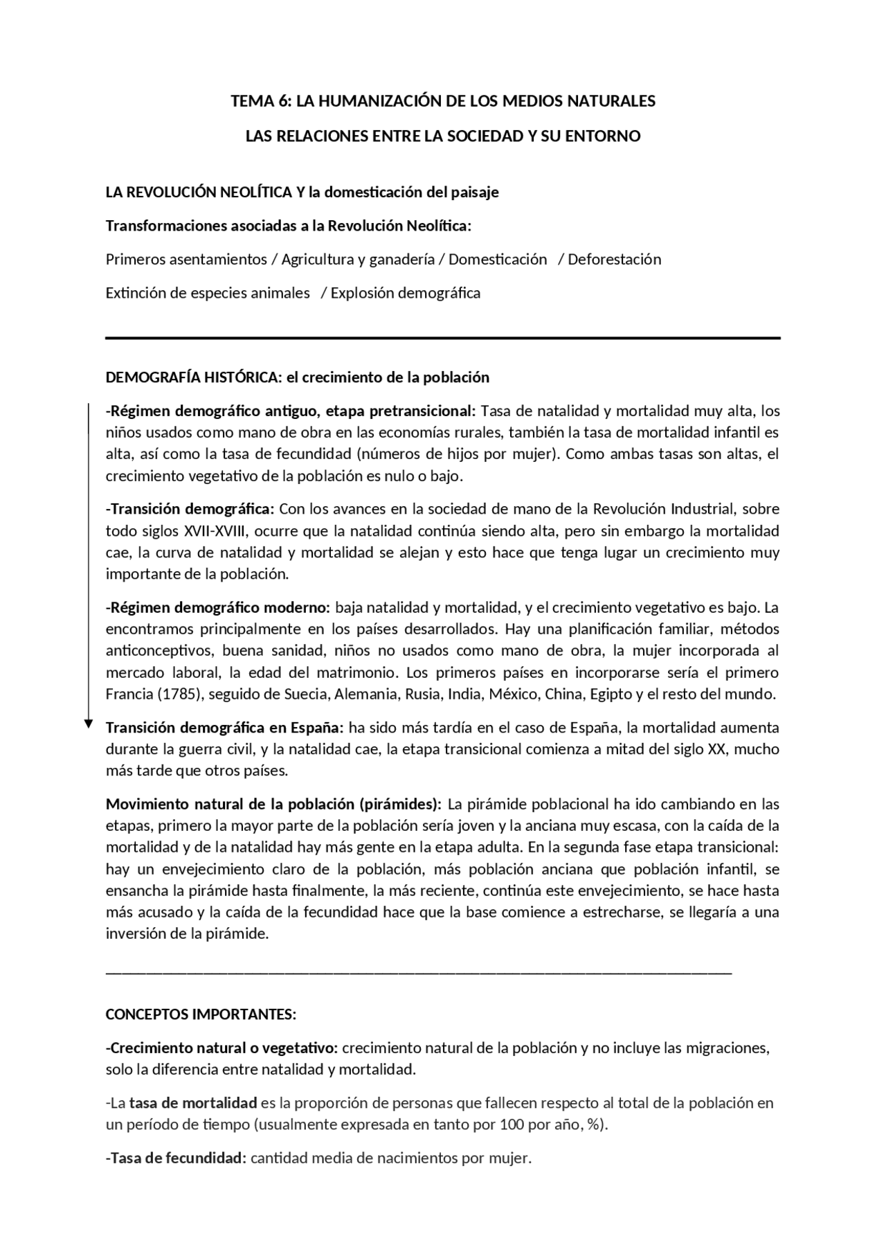 Apuntes Geografía 1º Docsity