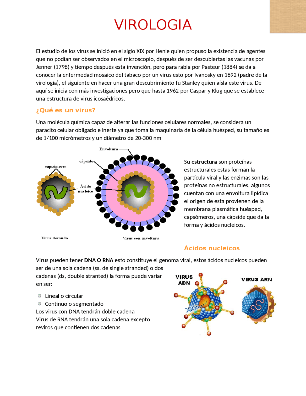 Generalidades De Los Virus Docsity