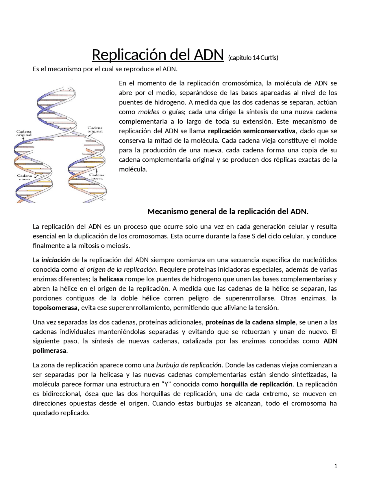 ADN, ARN y proteinas - Docsity