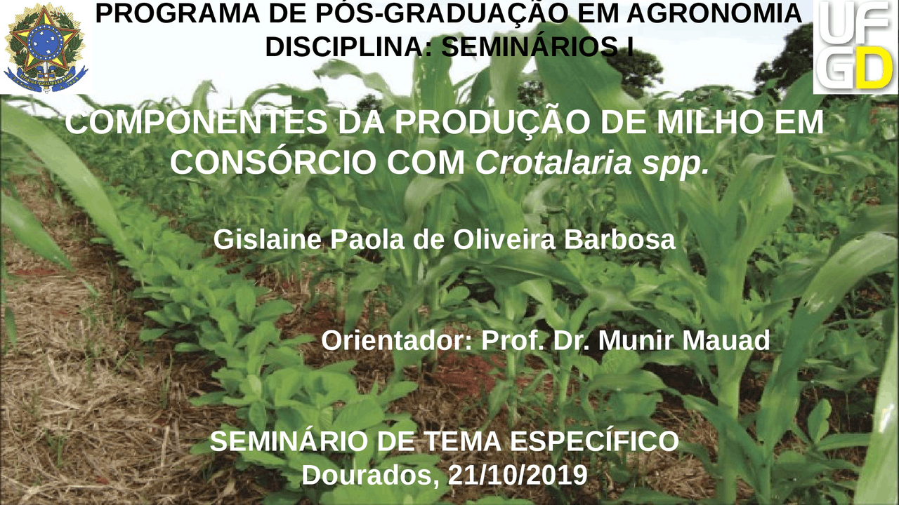 COMPONENTES DA PRODUÇÃO DE MILHO - Docsity