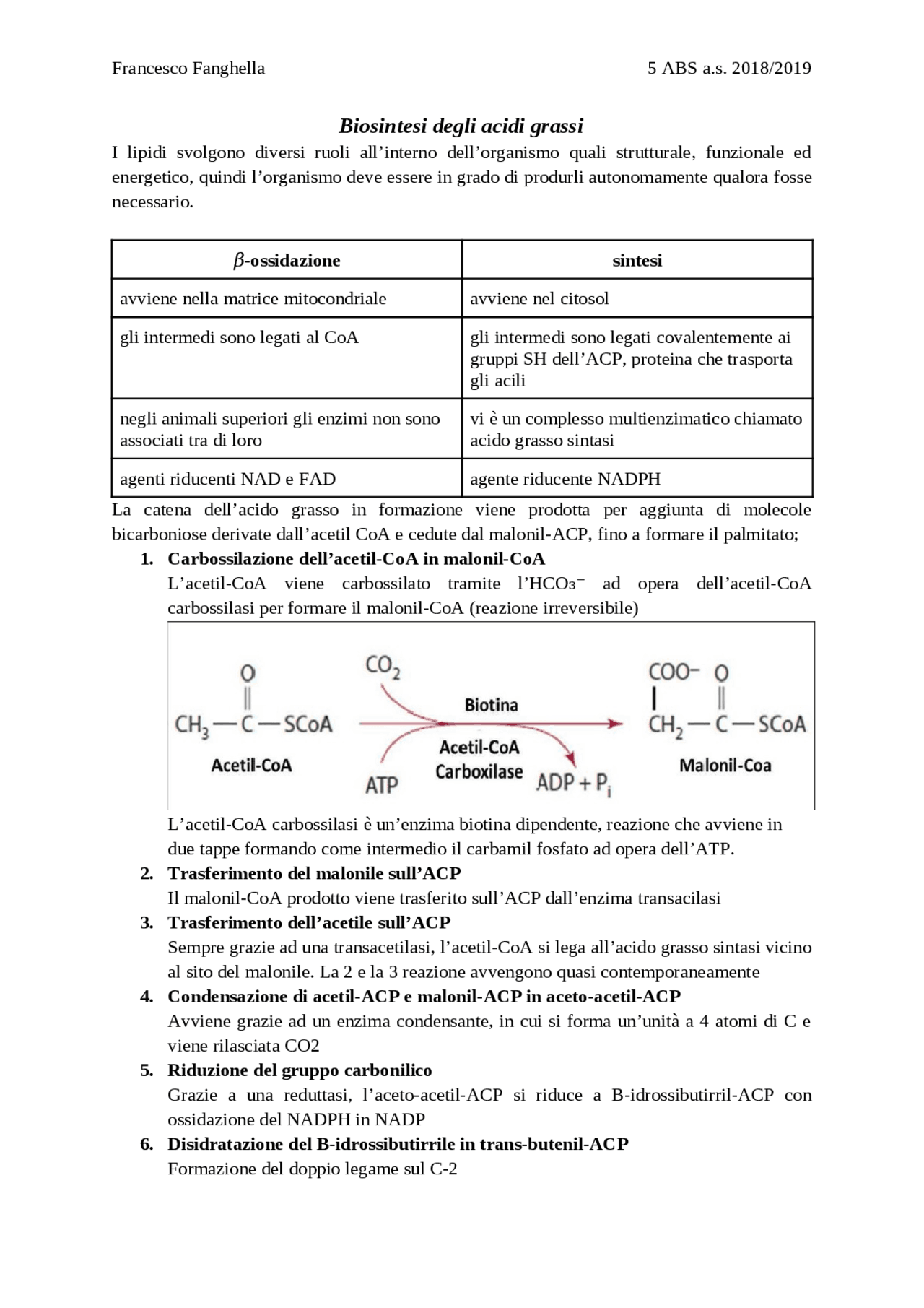 Biosintesi Degli Acidi Grassi Docsity