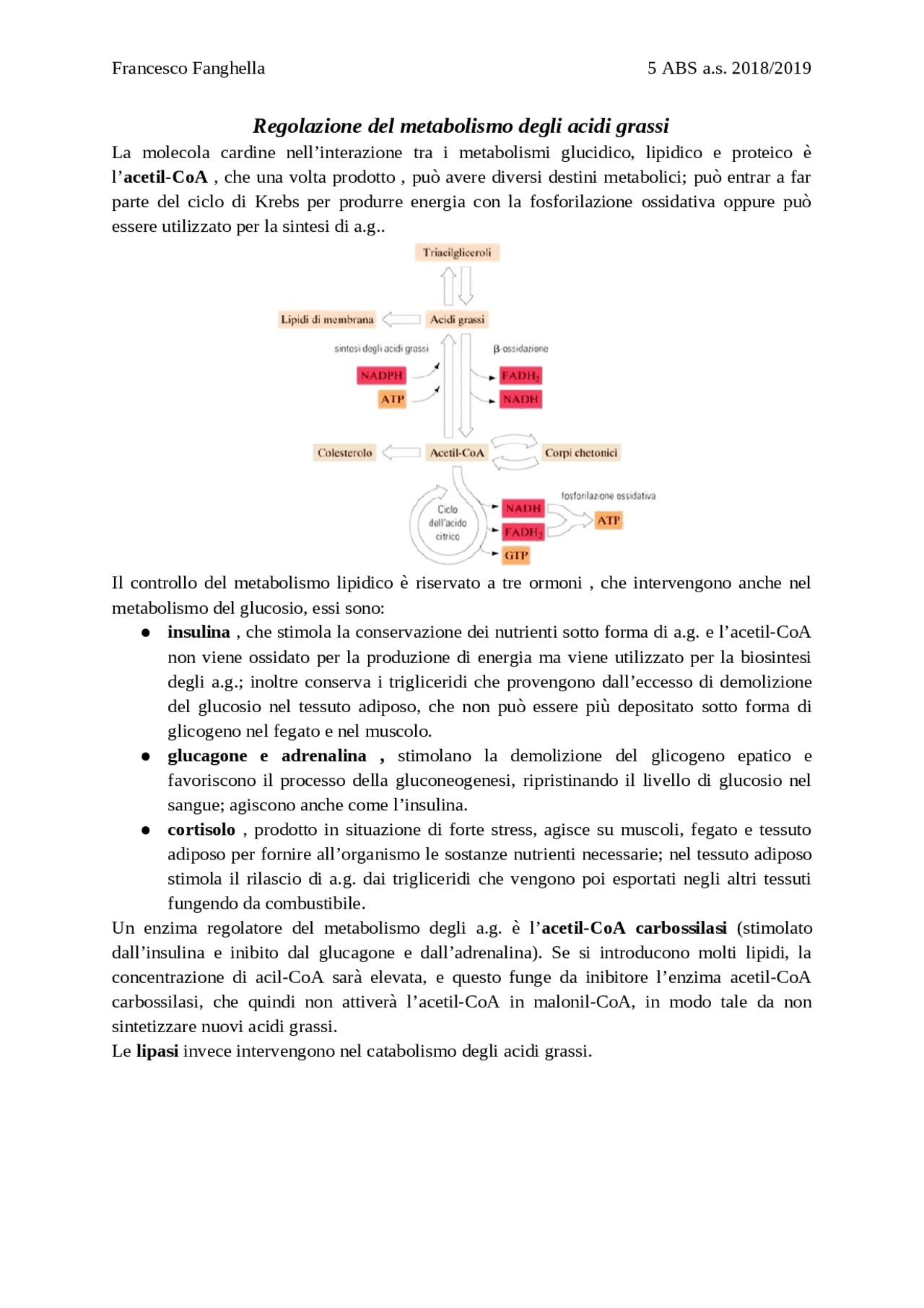Regolazione Del Metabolismo Degli Acidi Grassi Docsity