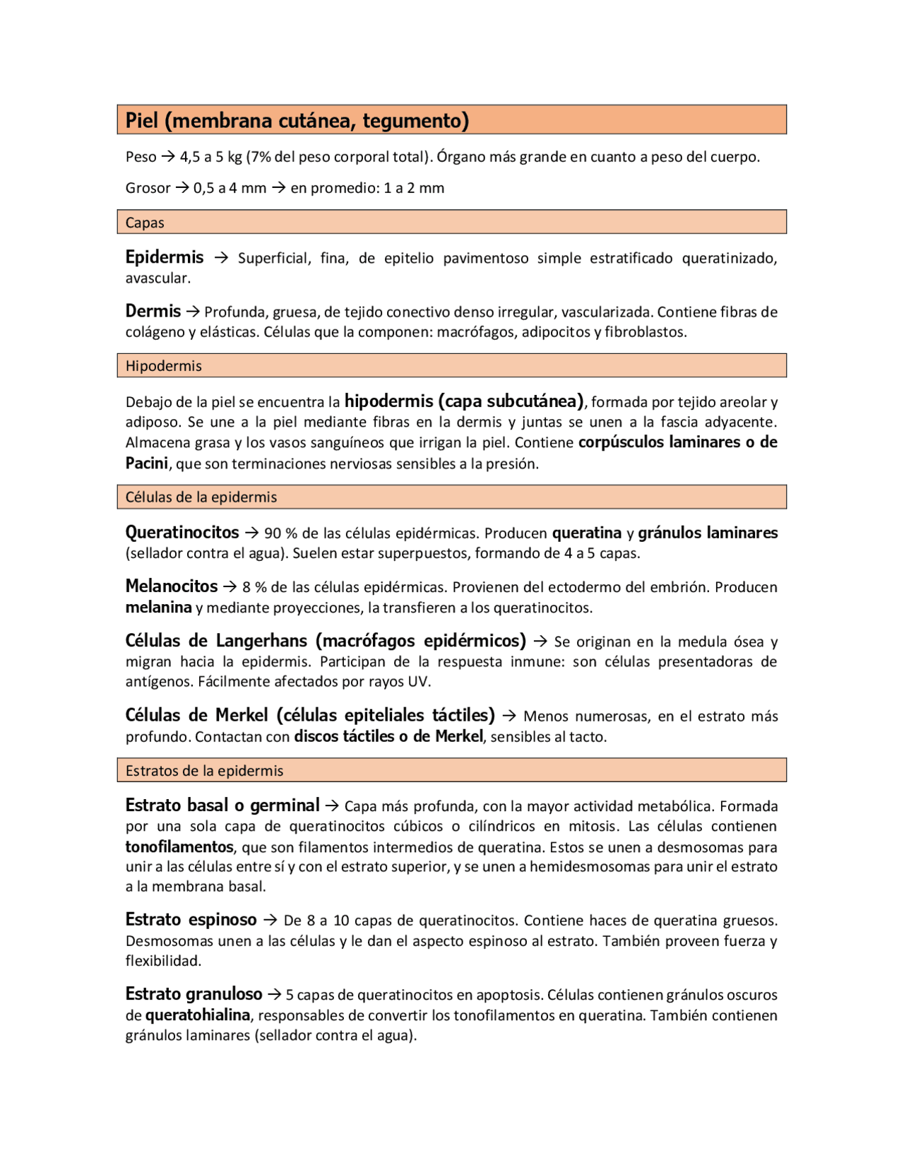Resumen Del Sistema Tegumentario Resúmenes De Anatomía Docsity