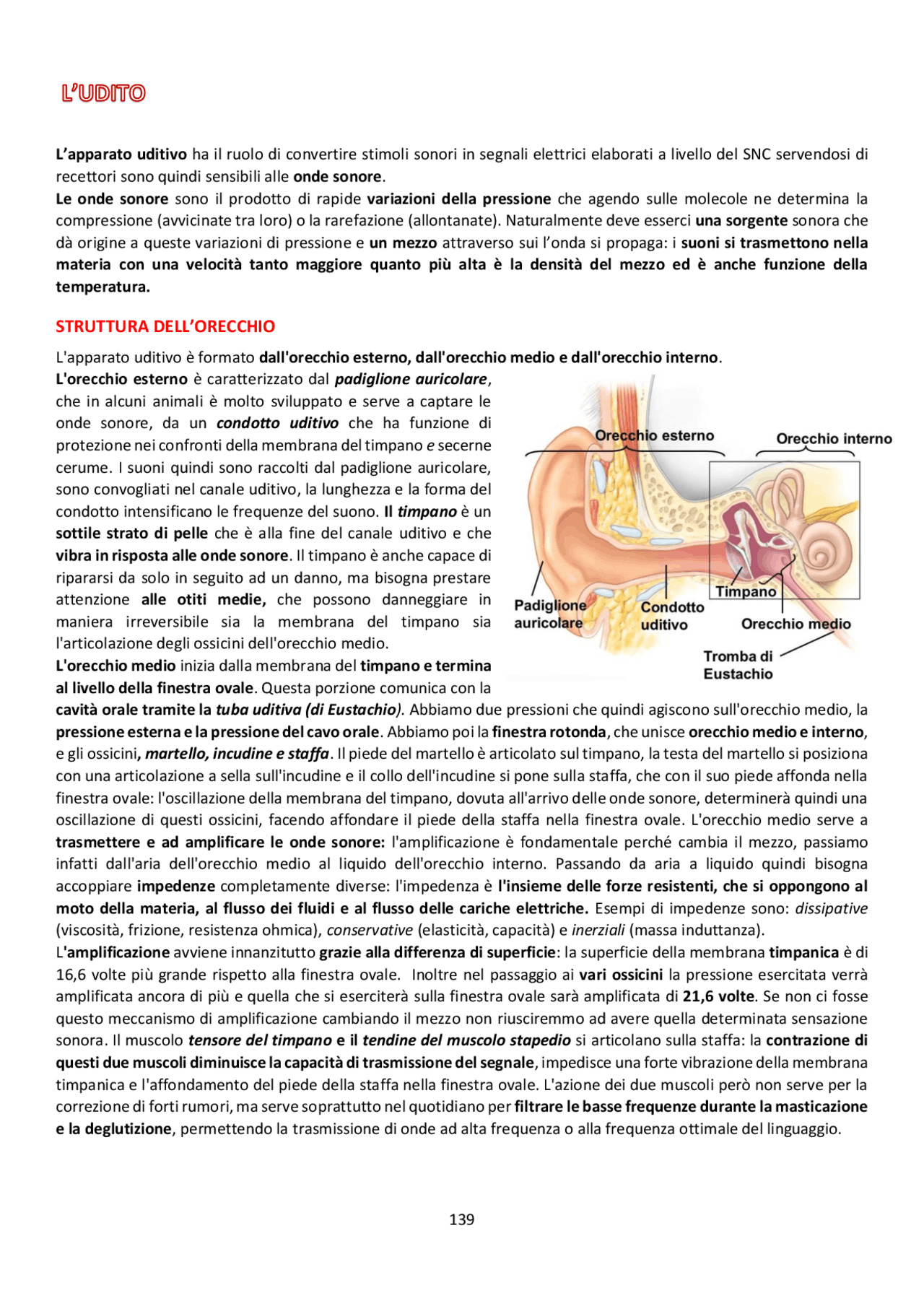 Il senso dell'udito e le sue caratteristiche - Docsity