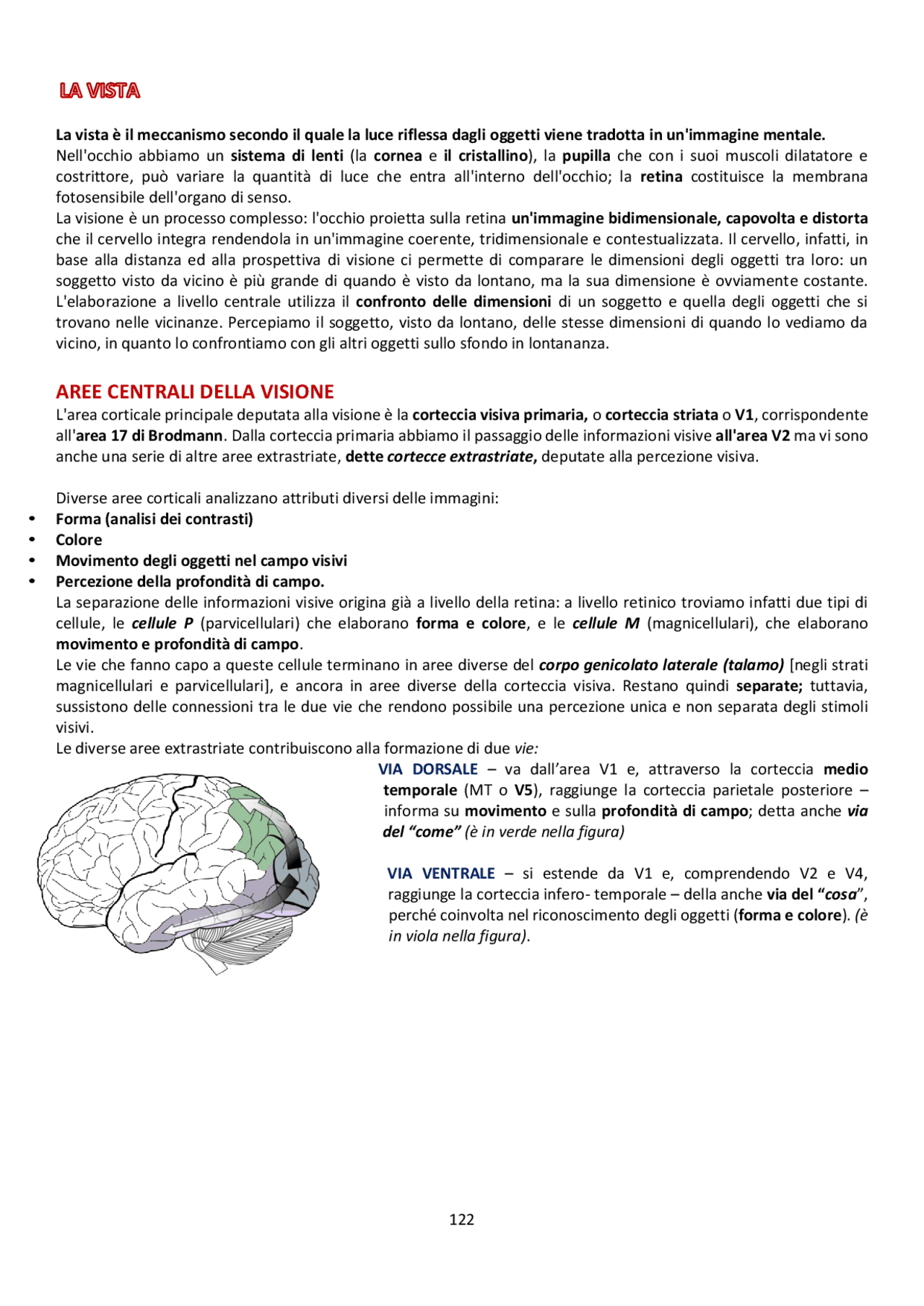 Il senso della vista e le sue caratteristiche - Docsity