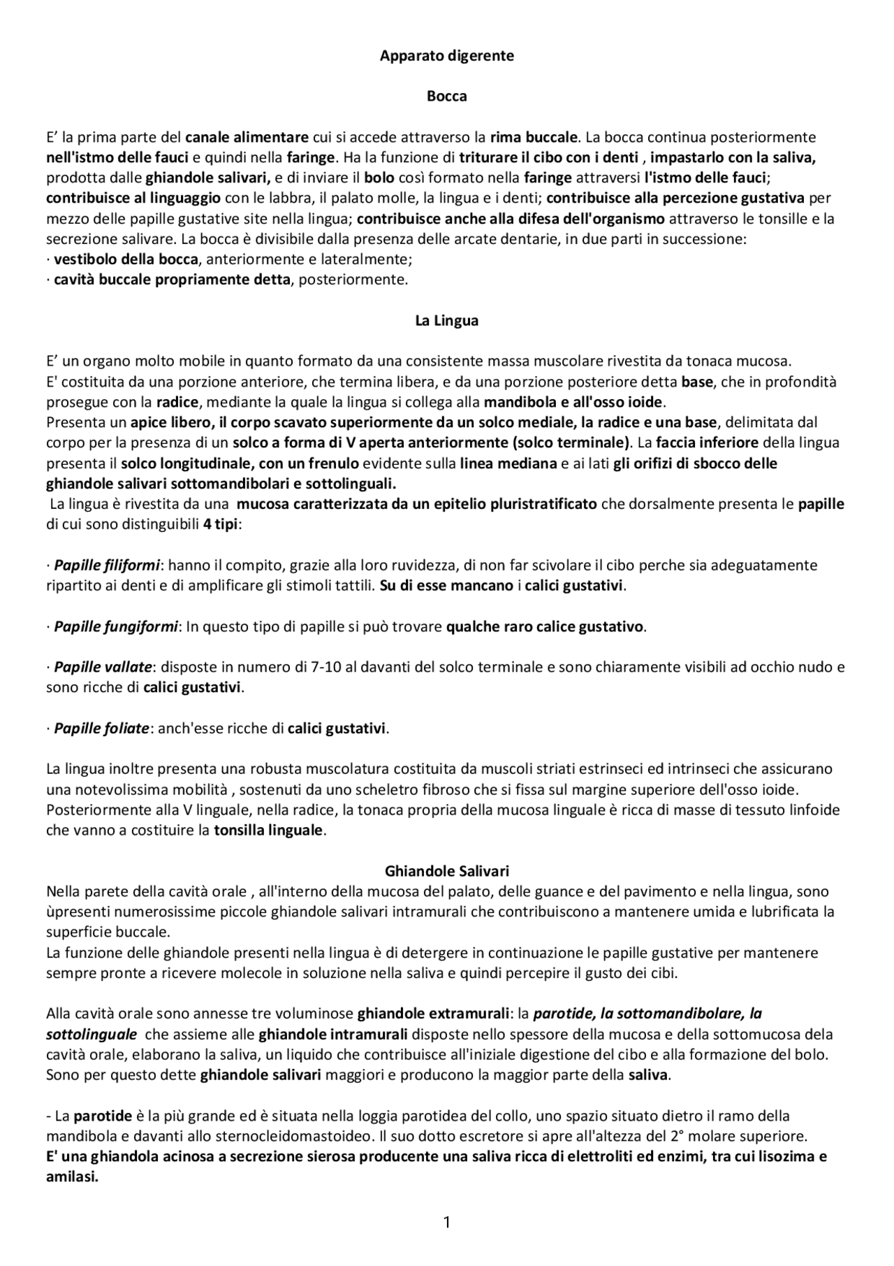 Apparato Digerente Anatomia Scienze Motorie Docsity