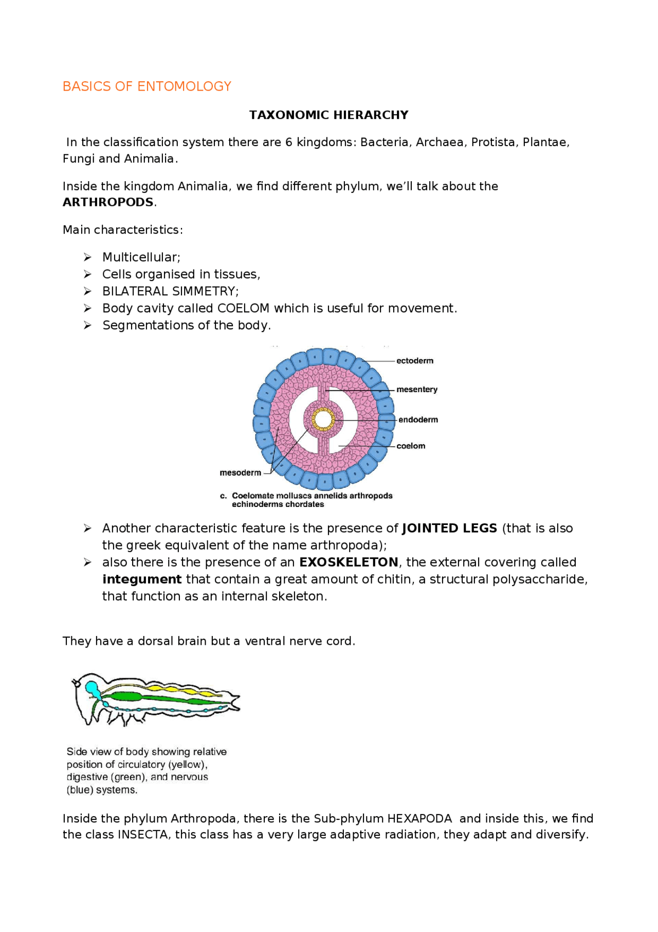 Basic Entomology - an overview - Docsity