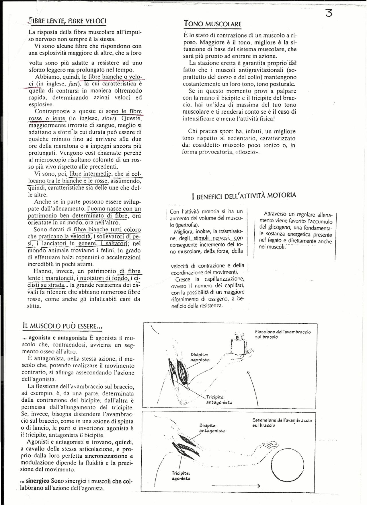 Appunti Per Scienze Motorie Docsity