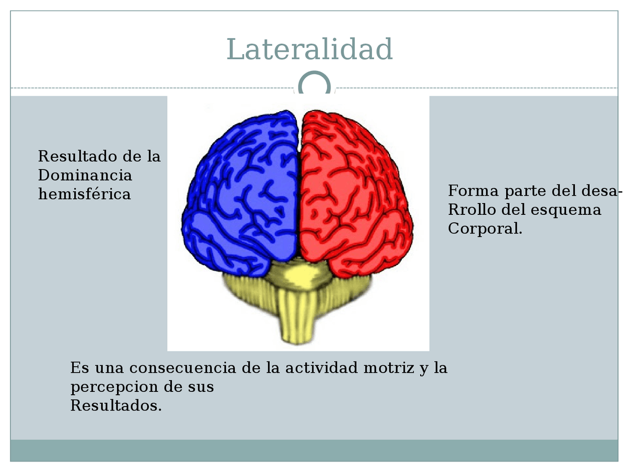 Tipos de lateralidades - Docsity