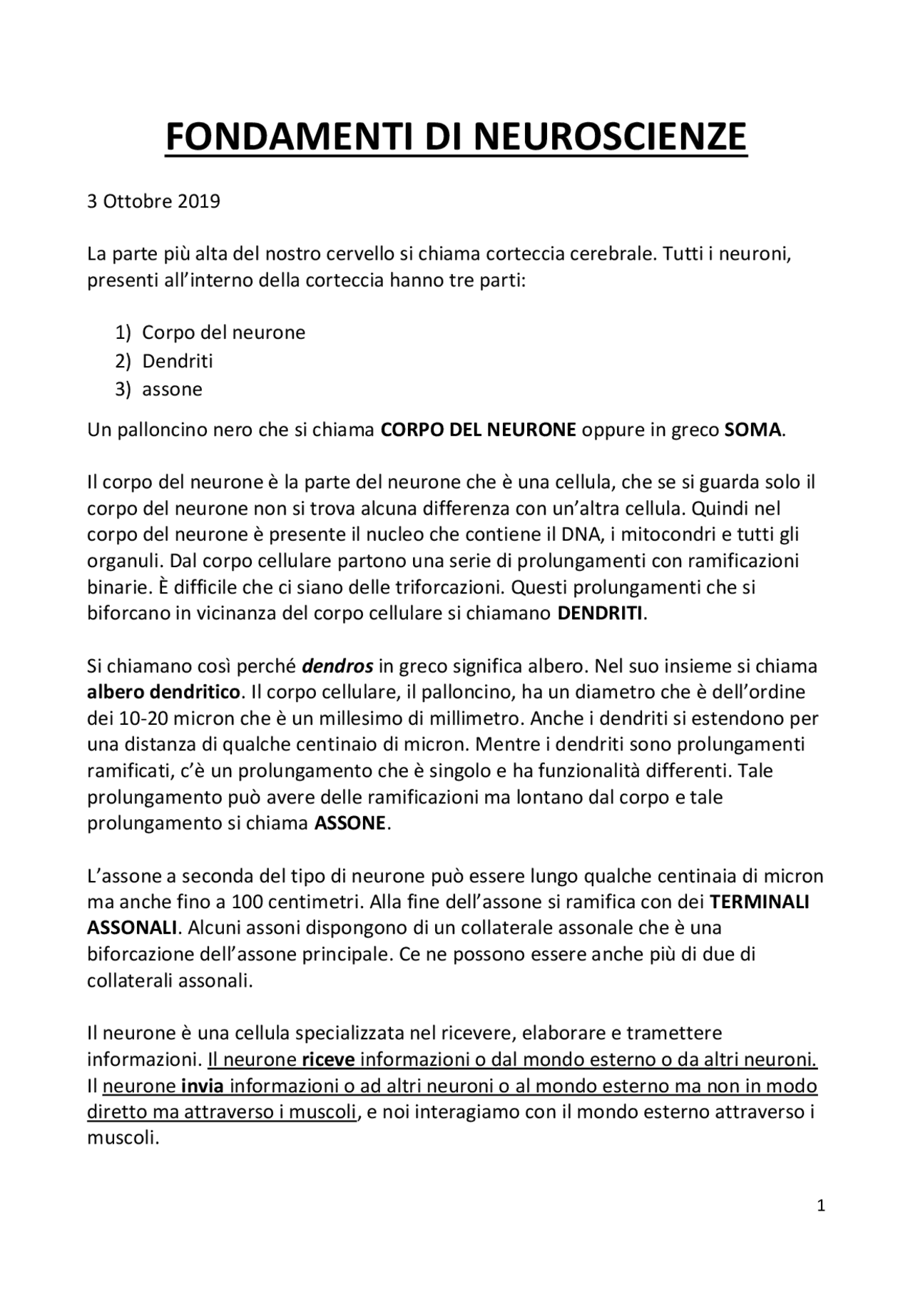 Fondamenti Di Neuroscienze Docsity