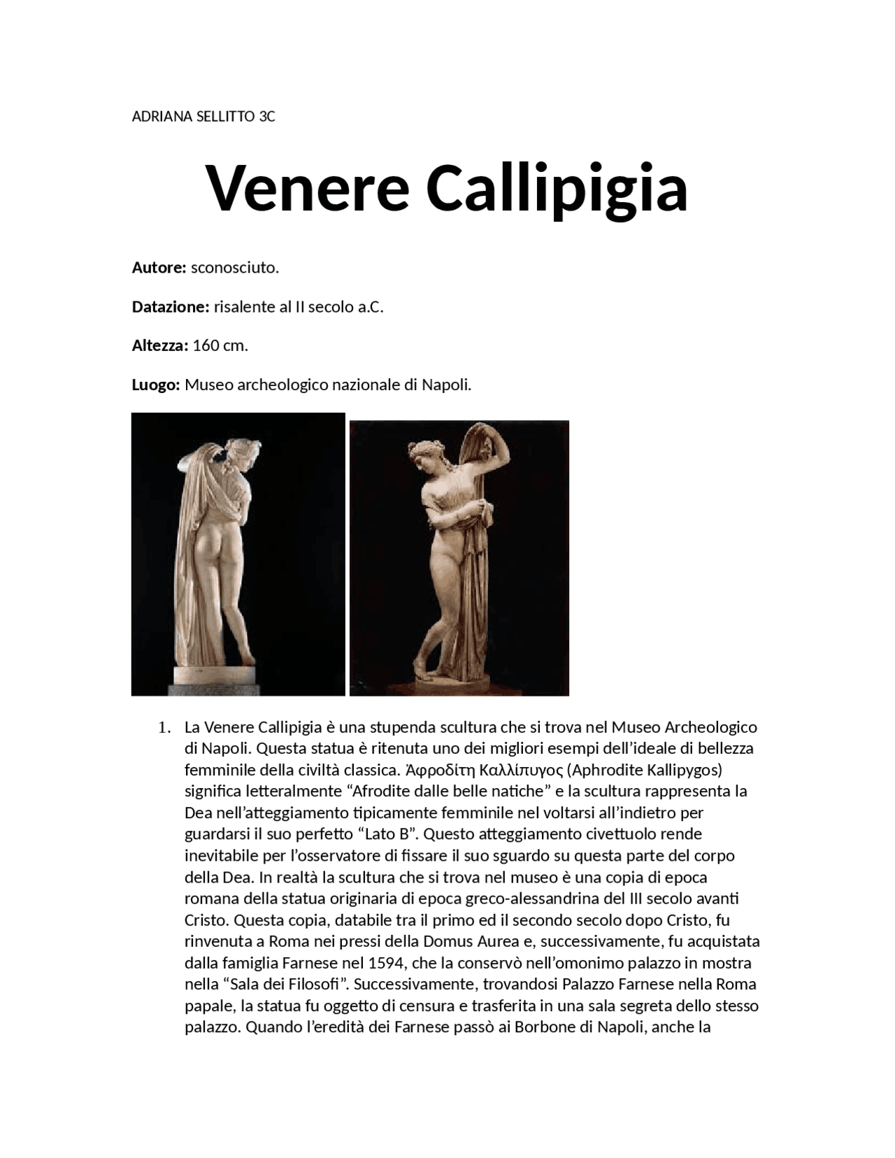 La Venere Callipigia - Docsity