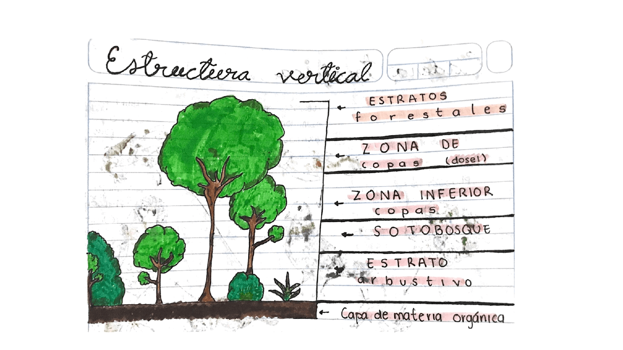 Ecología Y Medio Ambiente Docsity