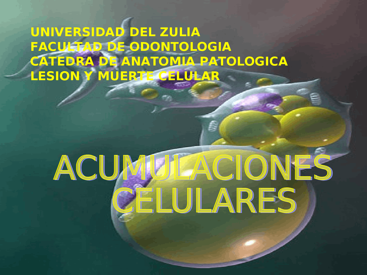Acumulo intracelular - Docsity