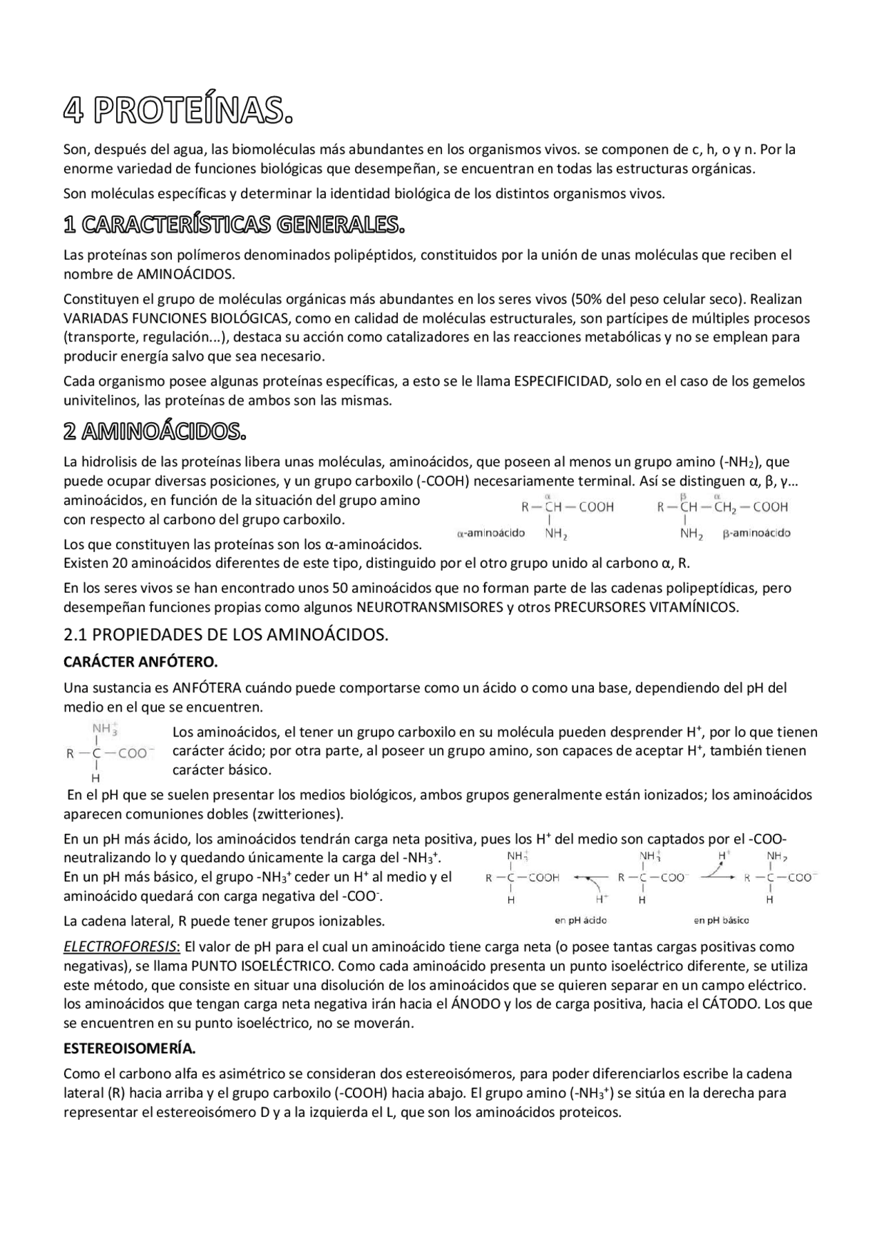 Tema 4 Las Proteínas Docsity