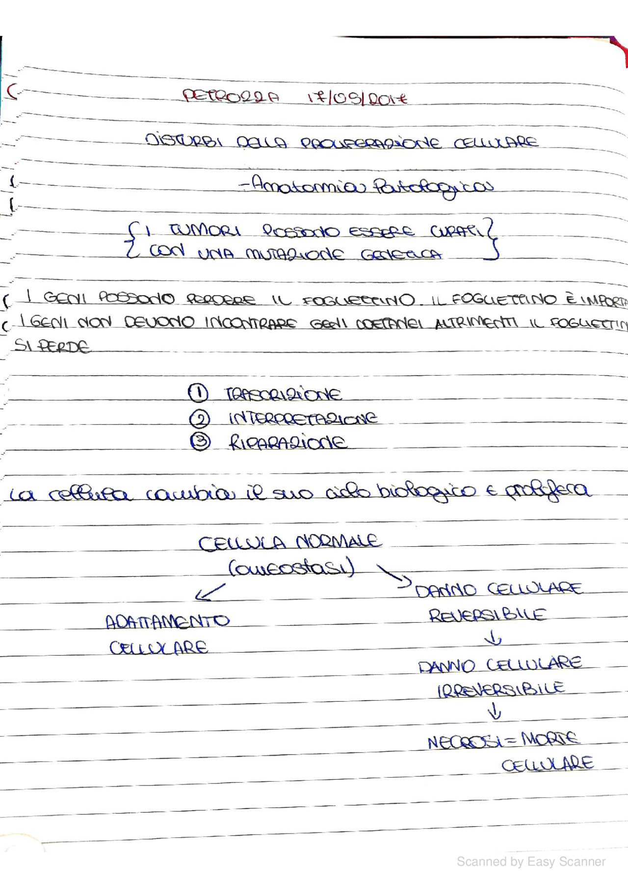 Anatomia Patologica Docsity
