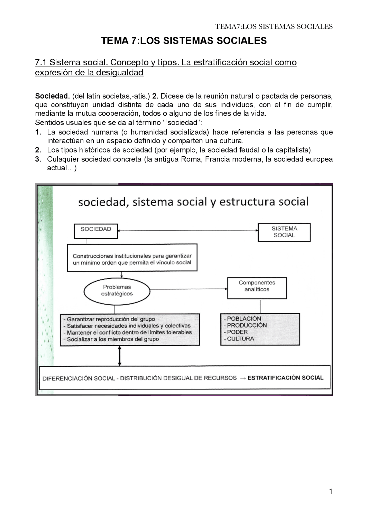 Evolució De Les Societats Tema 7 Docsity