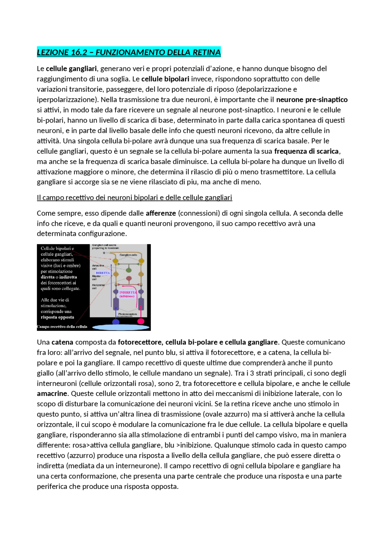 Fondamenti Anatomo Fisiologici Docsity