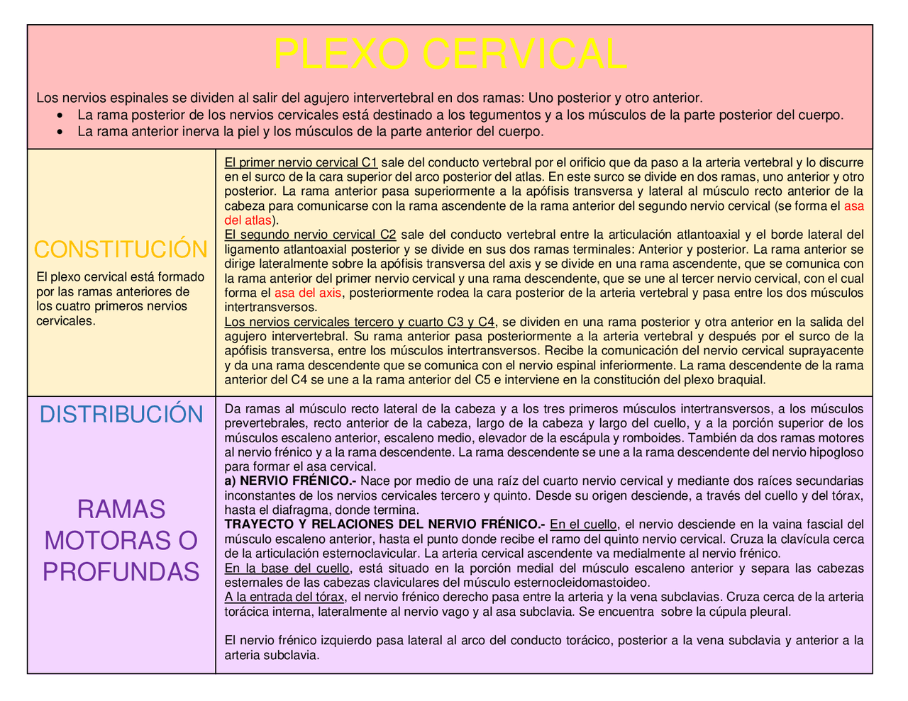 Plexo cervical más patología. | Resúmenes de Anatomía | Docsity