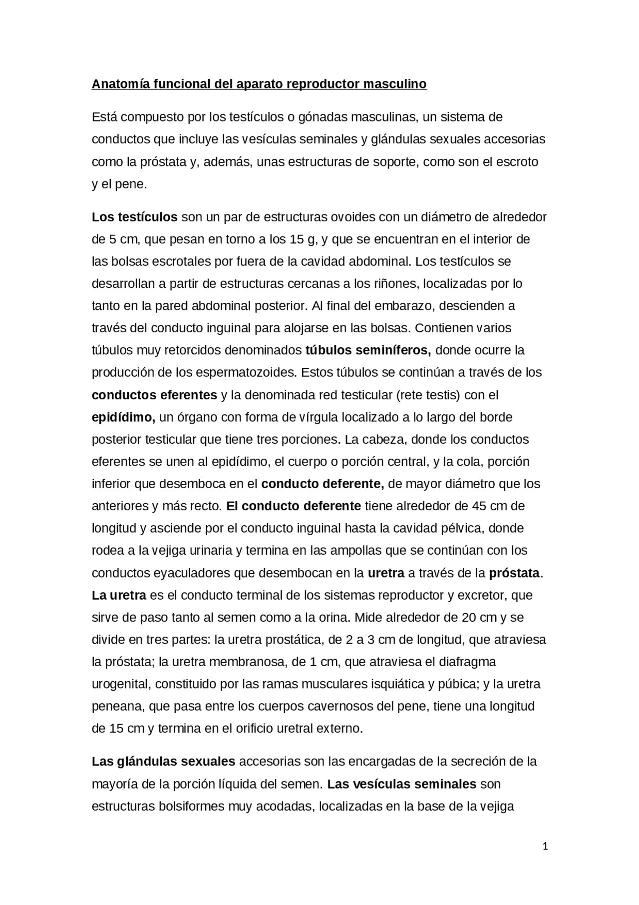Anatomía Funcional Aparato Reproductor Masculino Apuntes De Anatomía