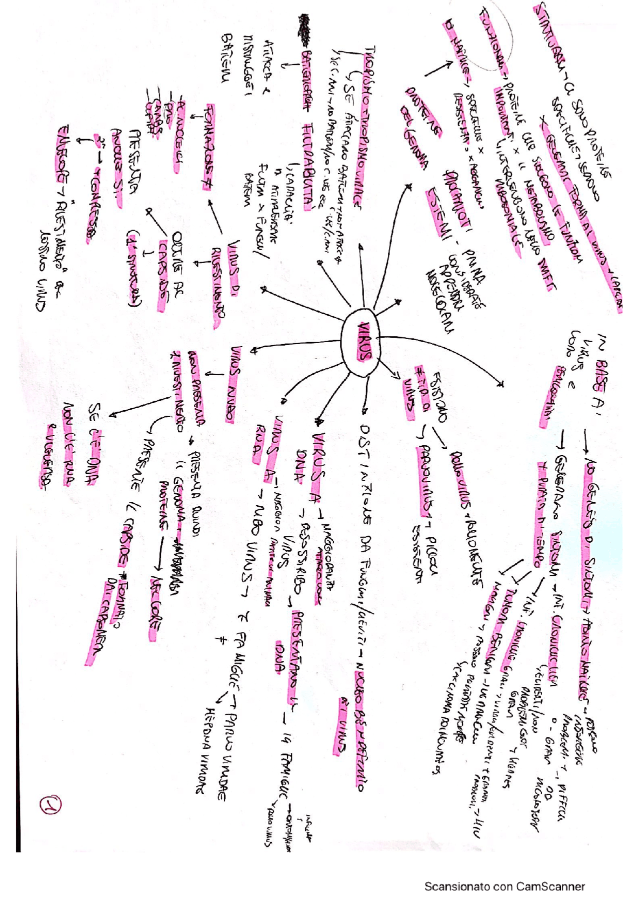 Schemi Microbiologia Docsity