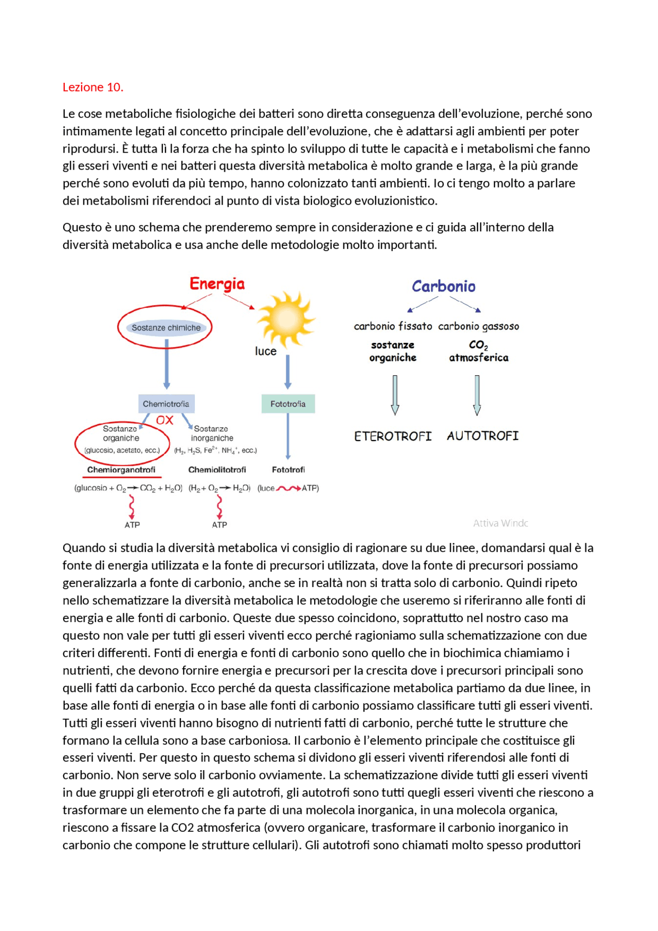 Appunti Microbiologia Docsity