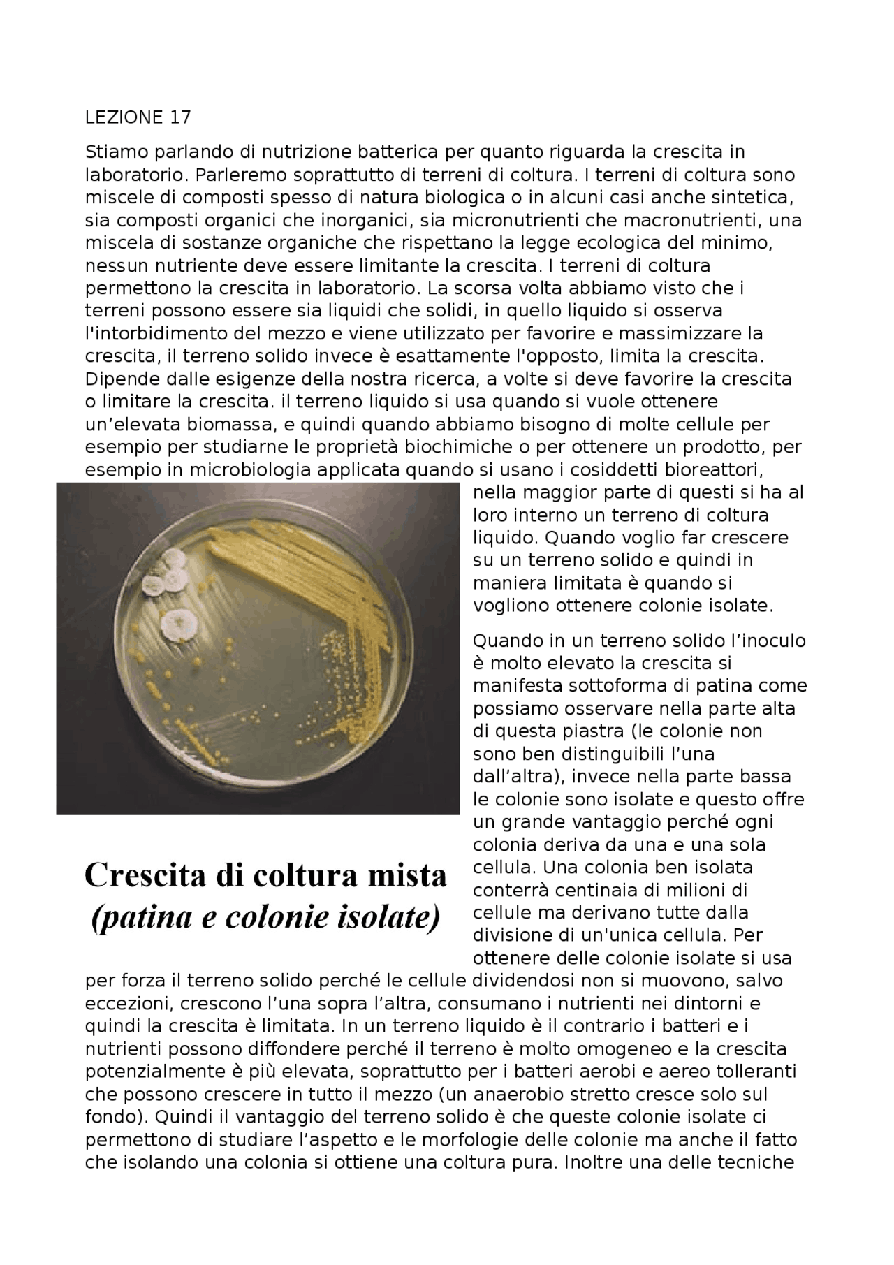 Appunti Di Microbiologia Docsity
