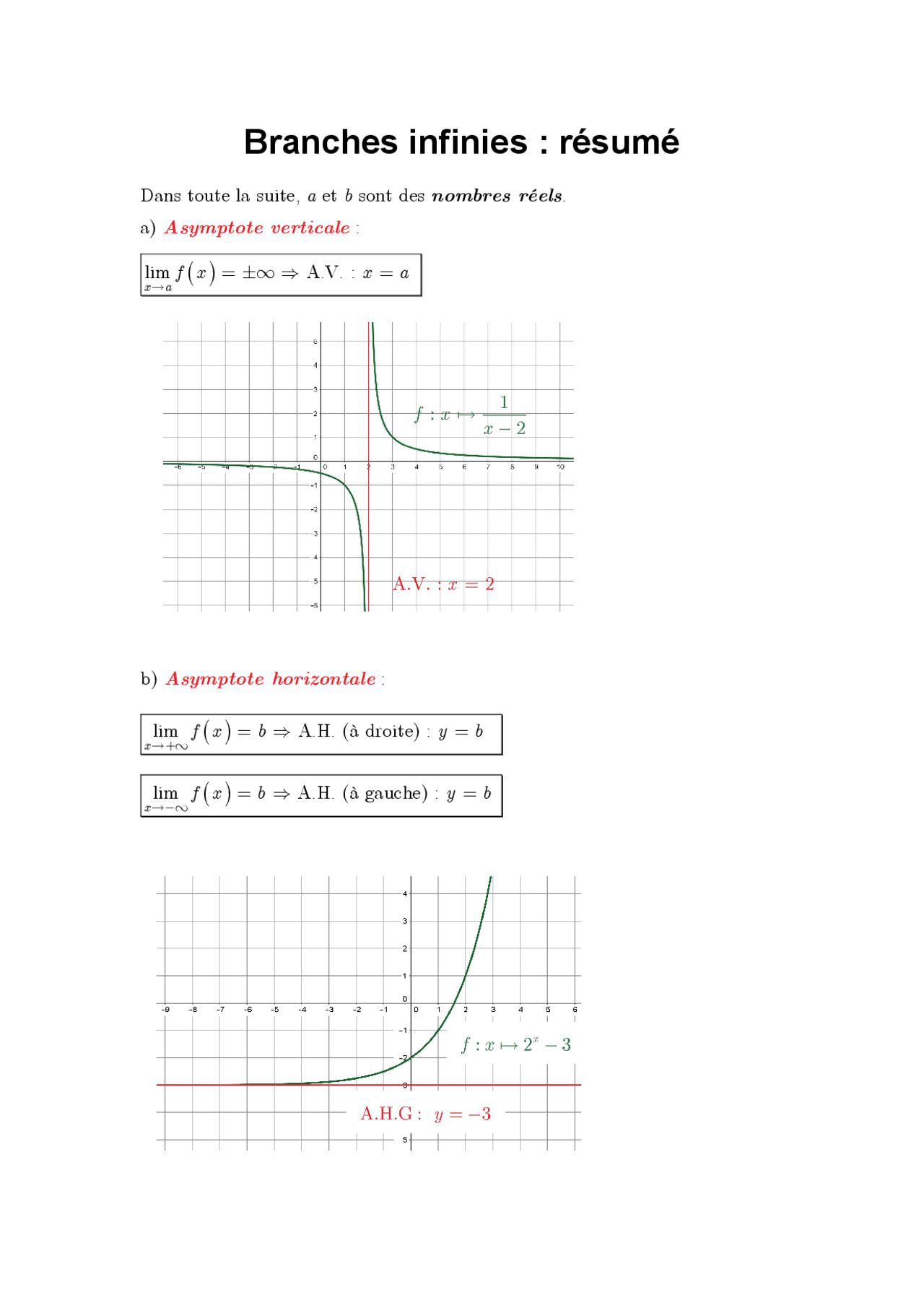 Les branches infinies | Assignments Mathematics | Docsity