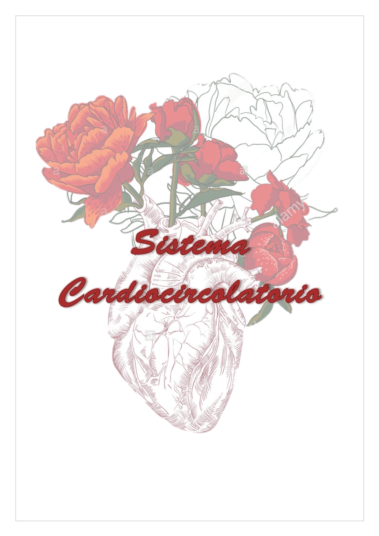 Sistema Cardiocircolatorio E Cuore Docsity