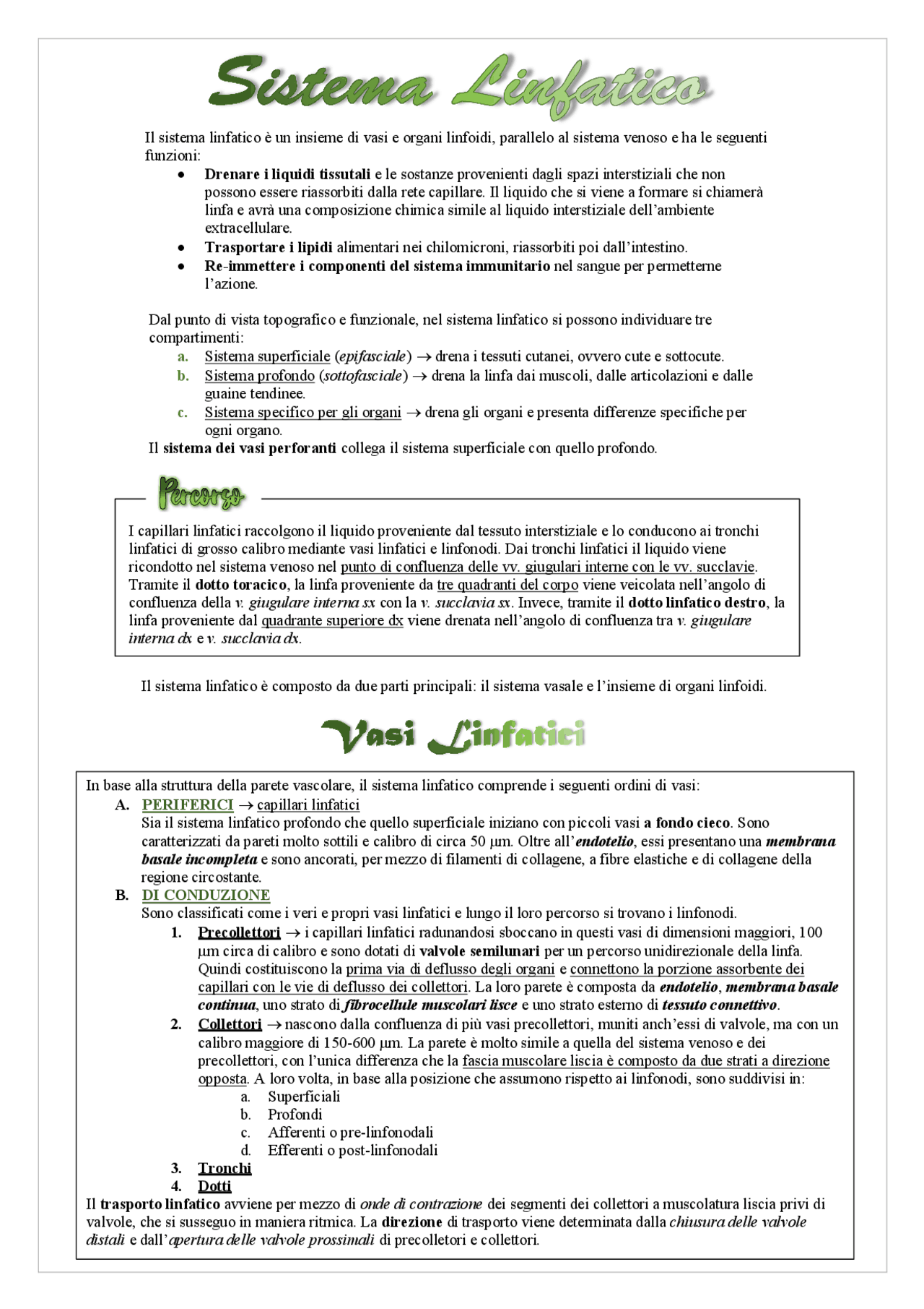Appunti Sistema Linfatico Docsity