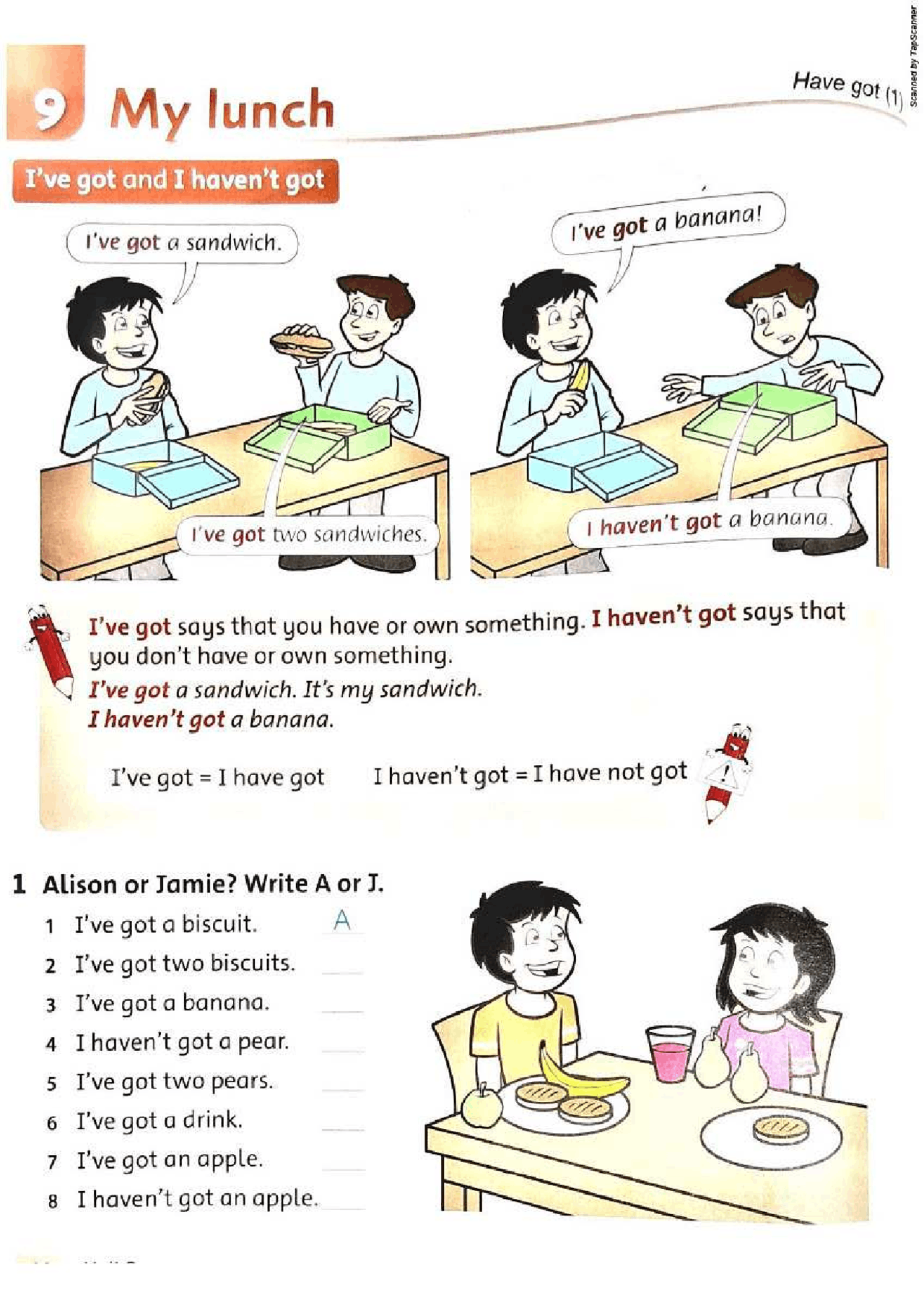 Review verb Have got - Docsity