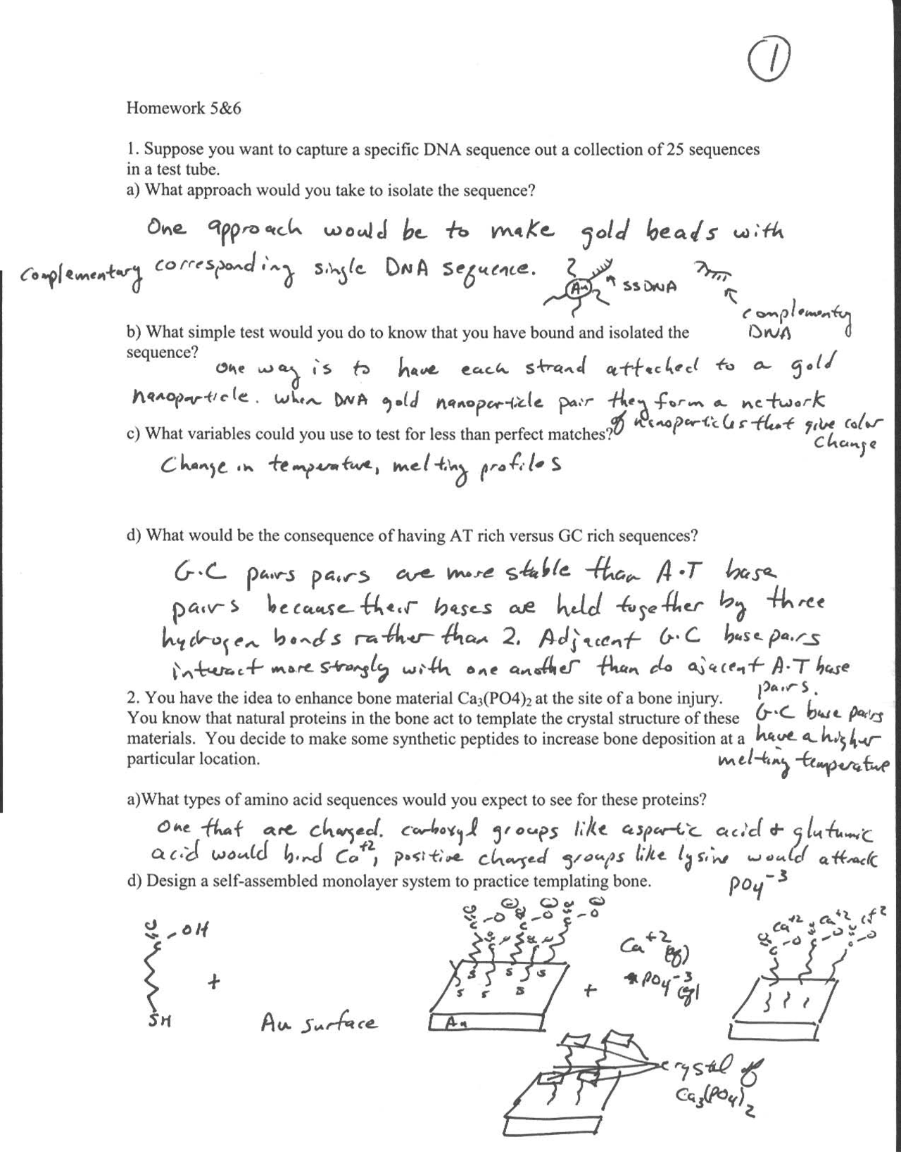 Organic And Biomaterials Chemistry Assignment With Solutions Docsity