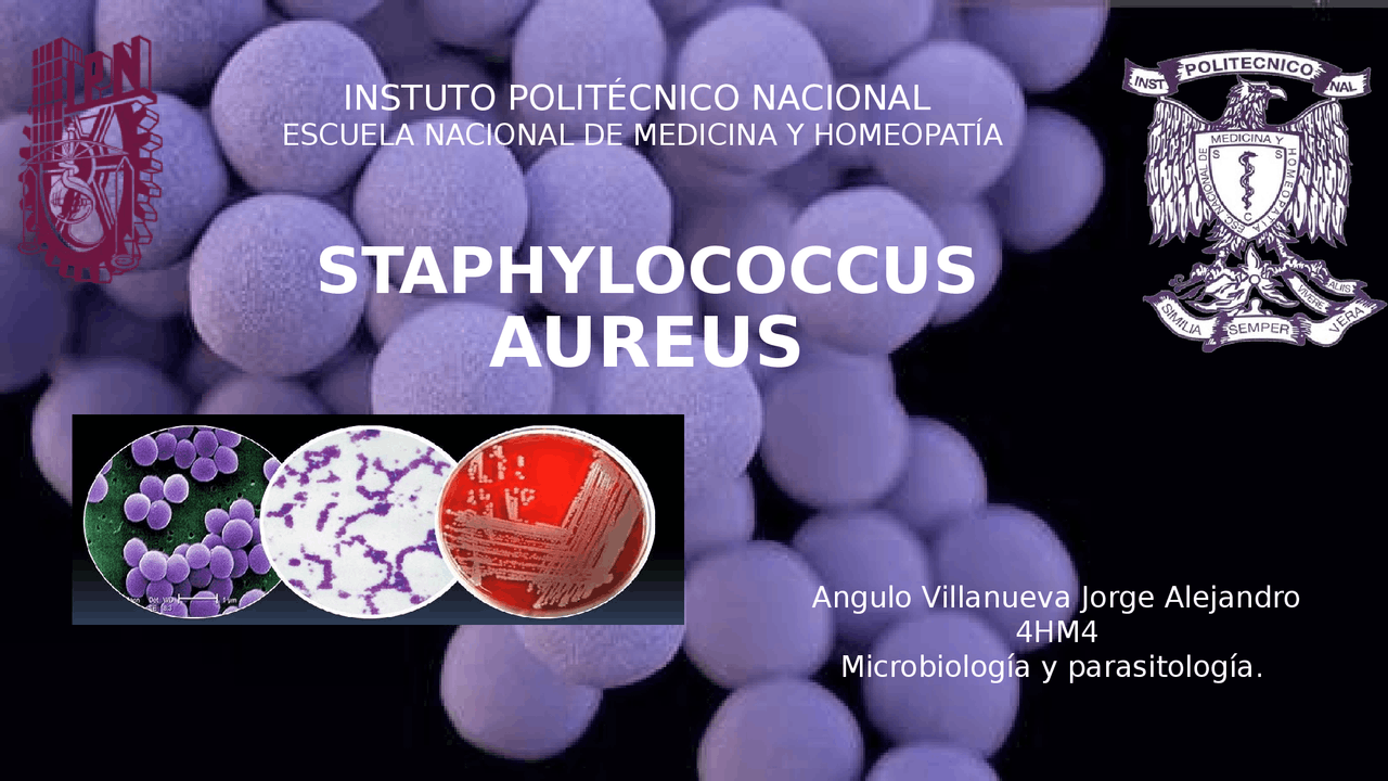 STAPHYLOCOCCUS AUREUS Virulencia. | Esquemas y mapas conceptuales de Microbiología | Docsity