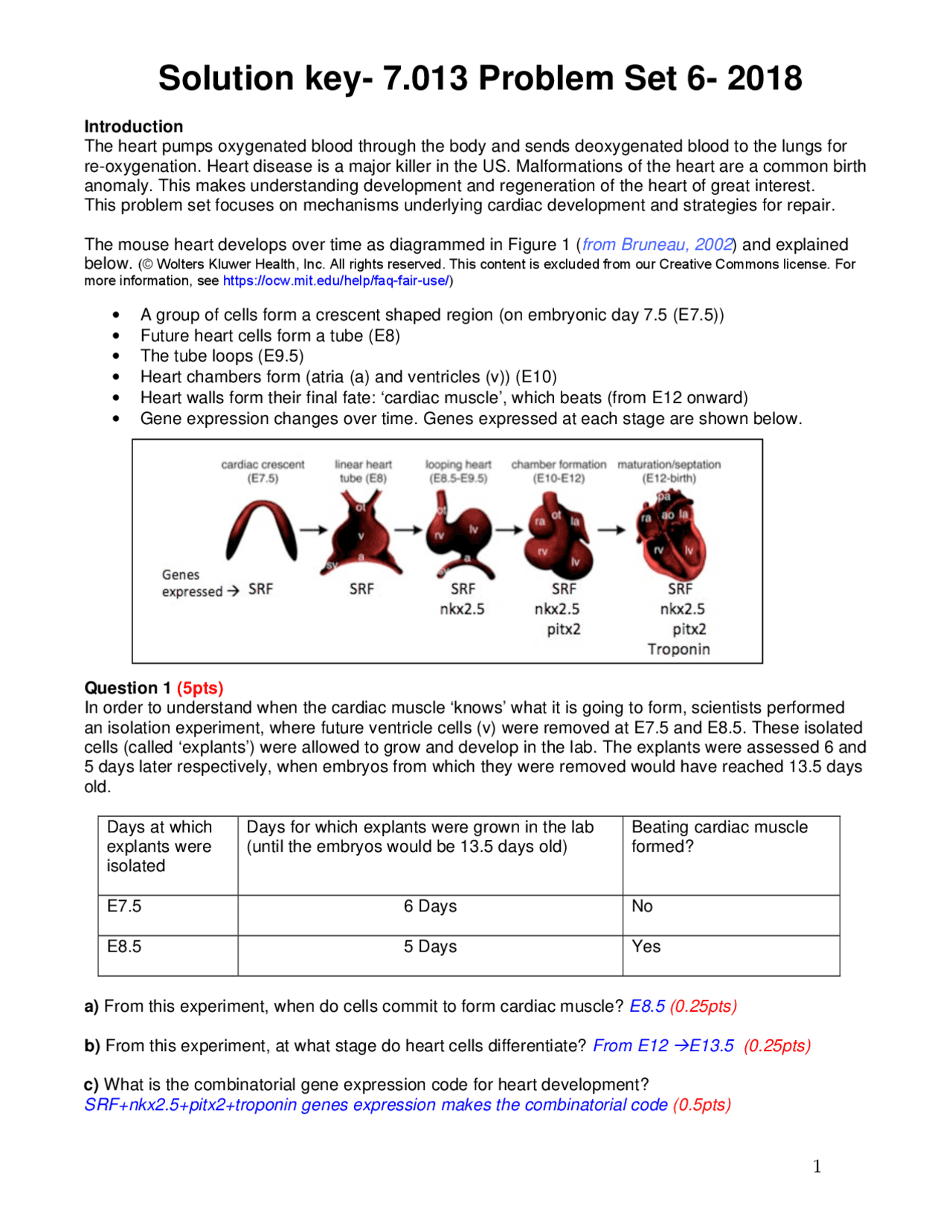 Introductory Biology Solutions Key Problem Set 6 Docsity
