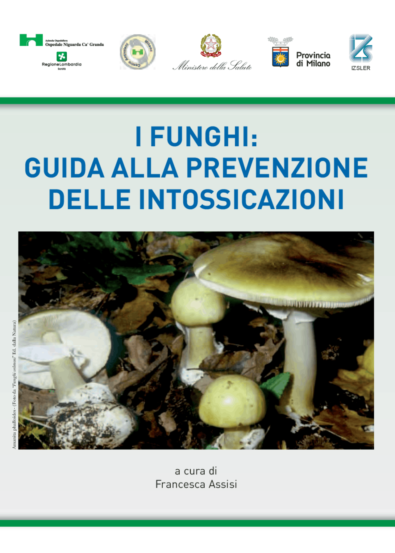 Opuscolo Funghi Docsity