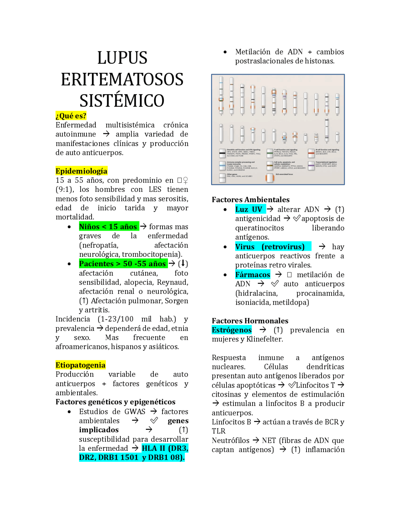 Lupus Eritematoso Sistemico Apuntes De Reumatología Docsity