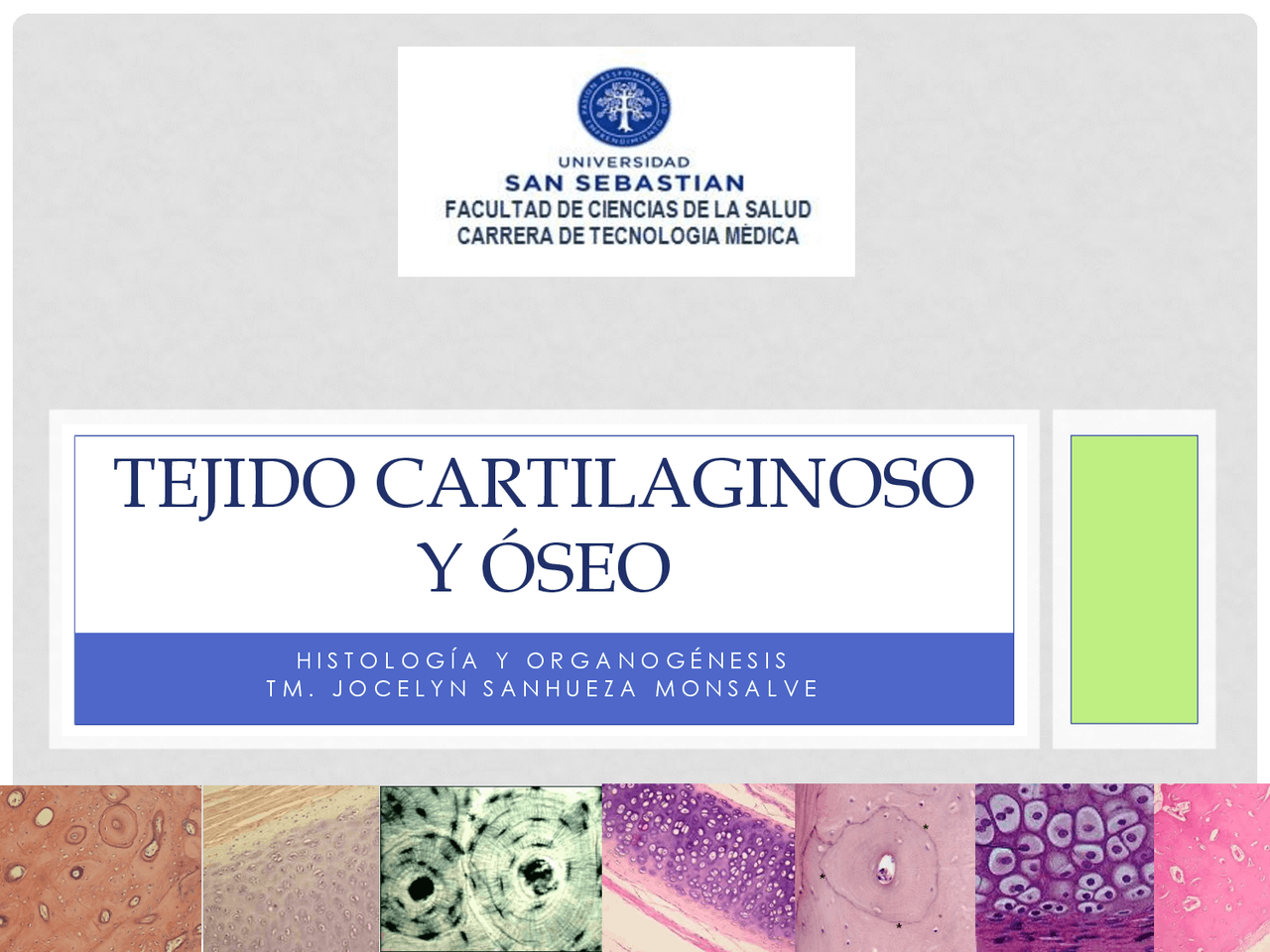 Tejido Cartilaginoso Diapositivas De Histología Docsity