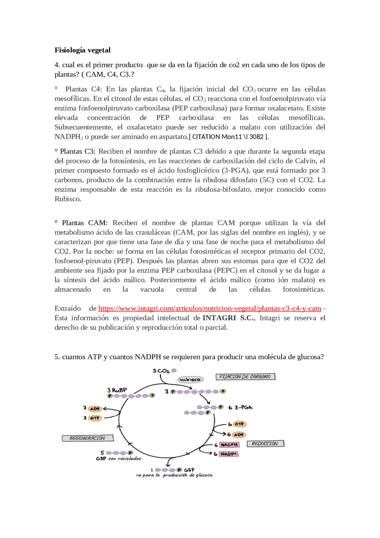 Fisiologia vegetal 1 - Docsity