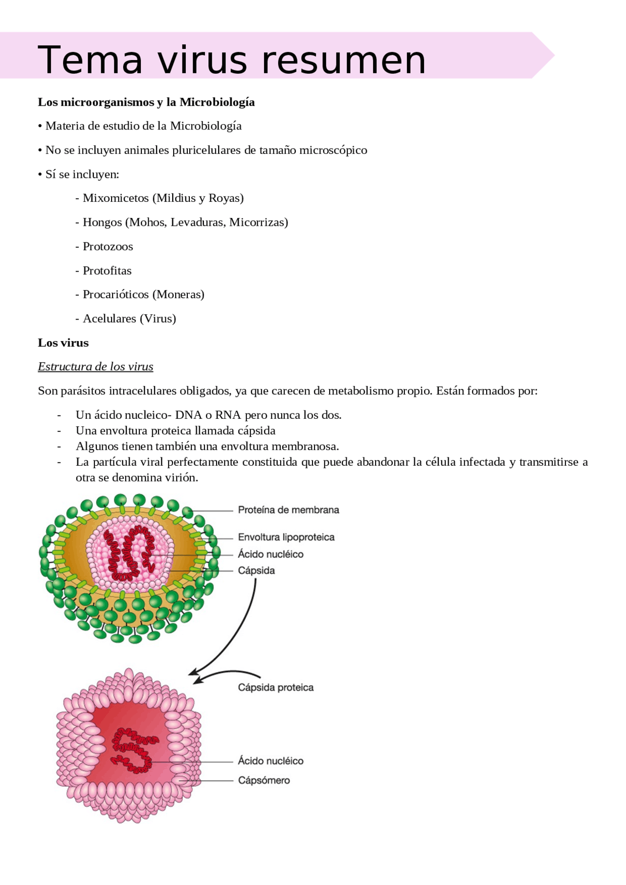 RESUMEN VIRUS 2 BACH | Apuntes de Biología | Docsity