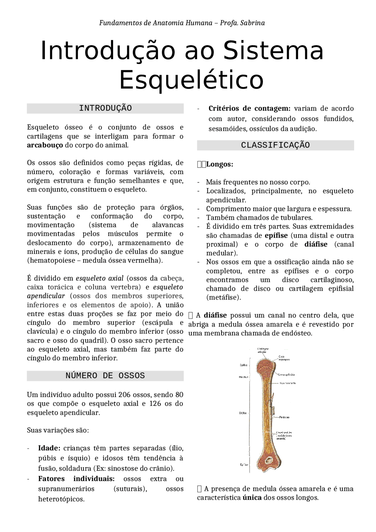 Intro A Sistema Esquelético Docsity