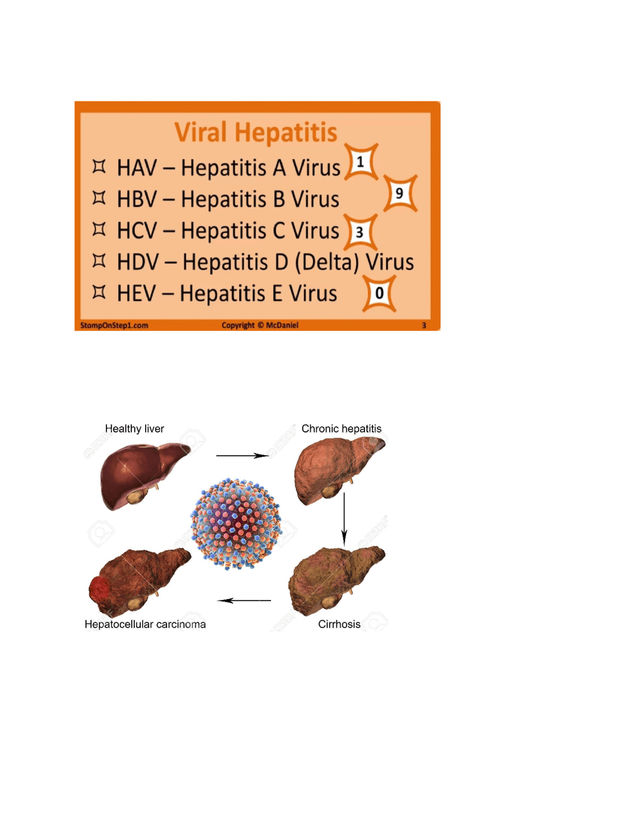 Hepatitis introduction and hepatitis B biology - Docsity