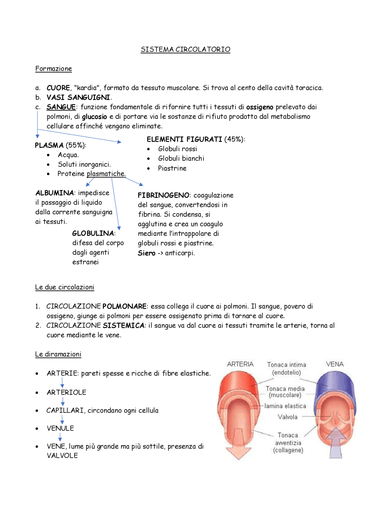 Il Sistema Circolatorio Sintesi Del Corso Di Biologia Docsity