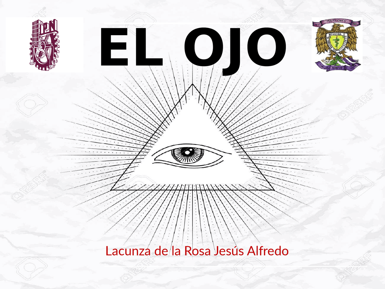 Embriología Del Ojo Humano Diapositivas De Oftalmología Docsity