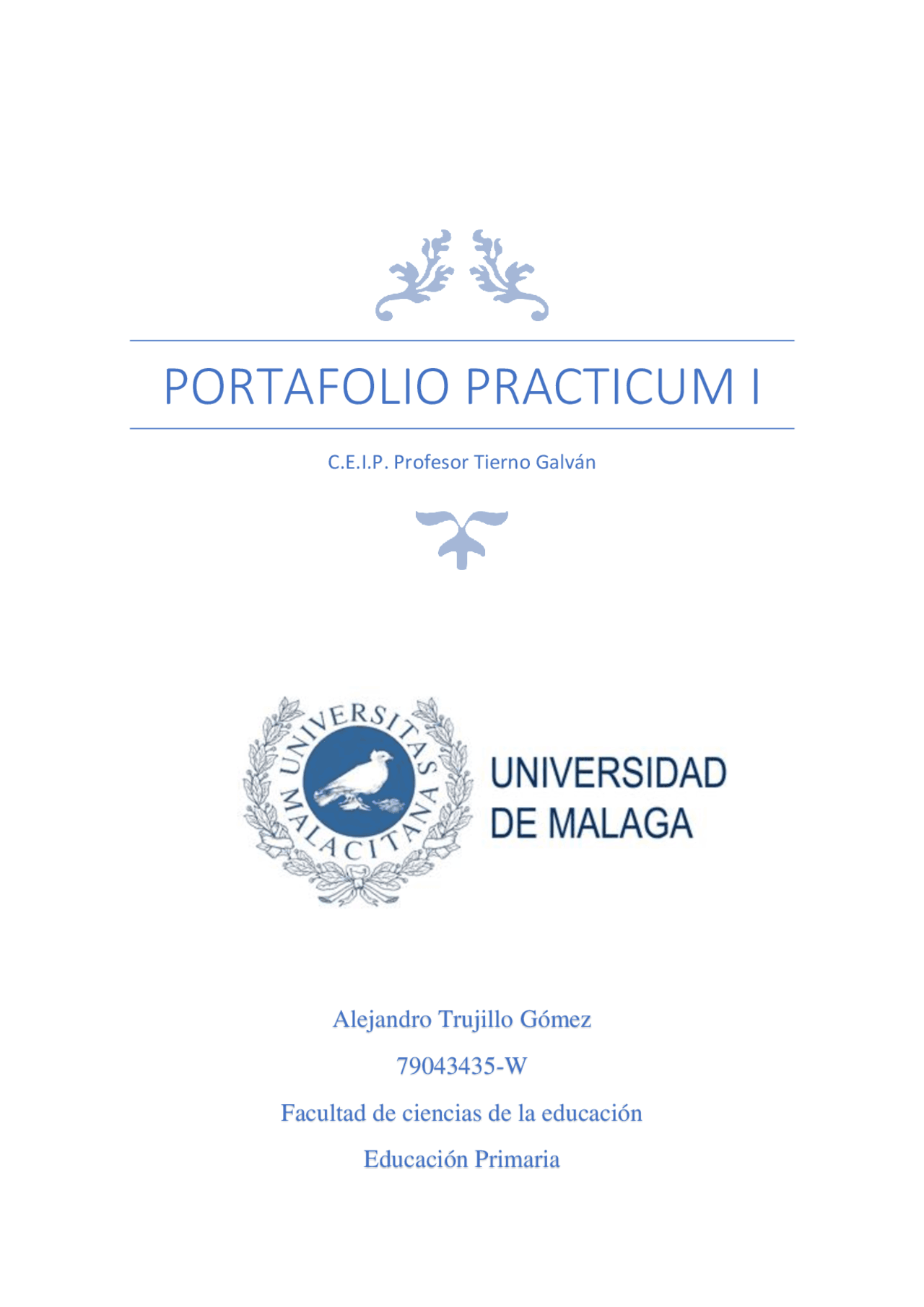 Practicum I Educación Primaria | Guías, Proyectos, Investigaciones de Teoría y Práctica del ...