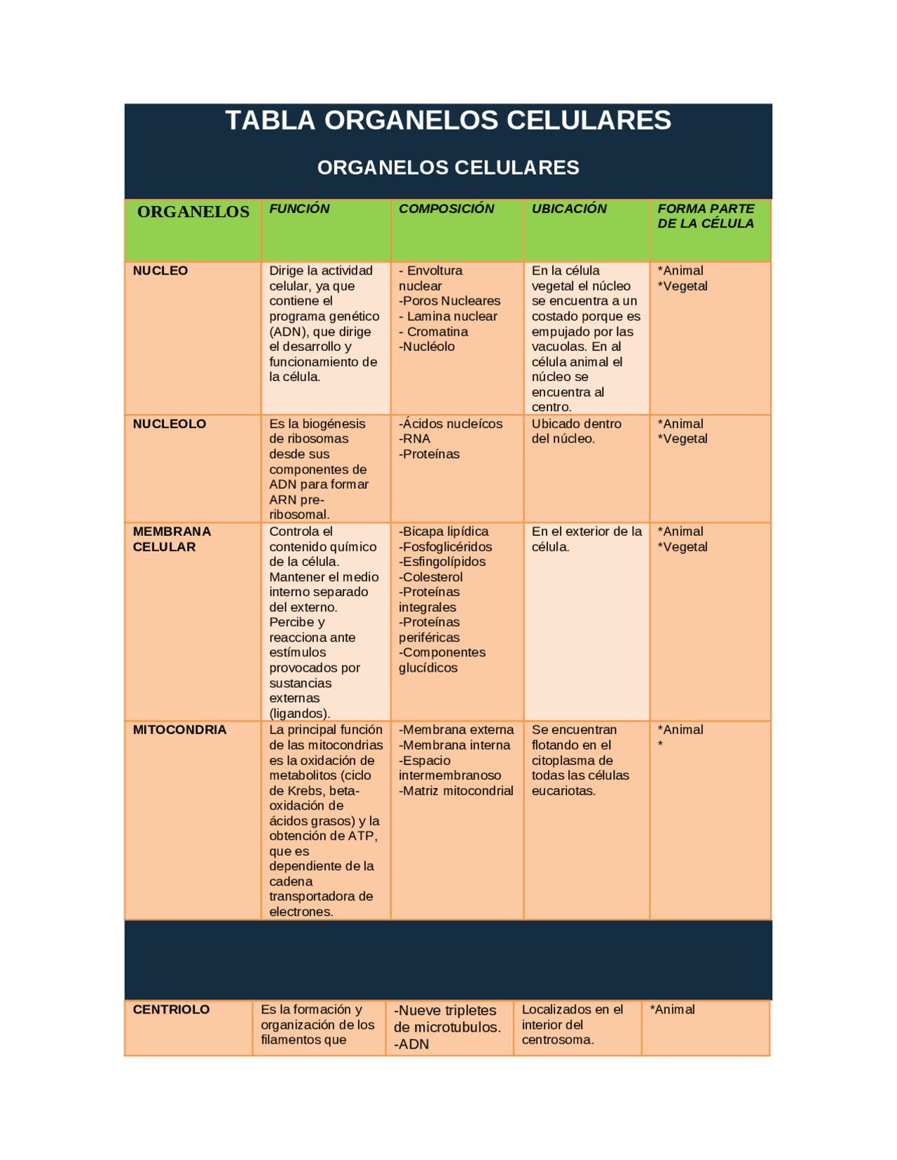 TABLA DE ORGANELOS CELULARES | Esquemas y mapas conceptuales de ...