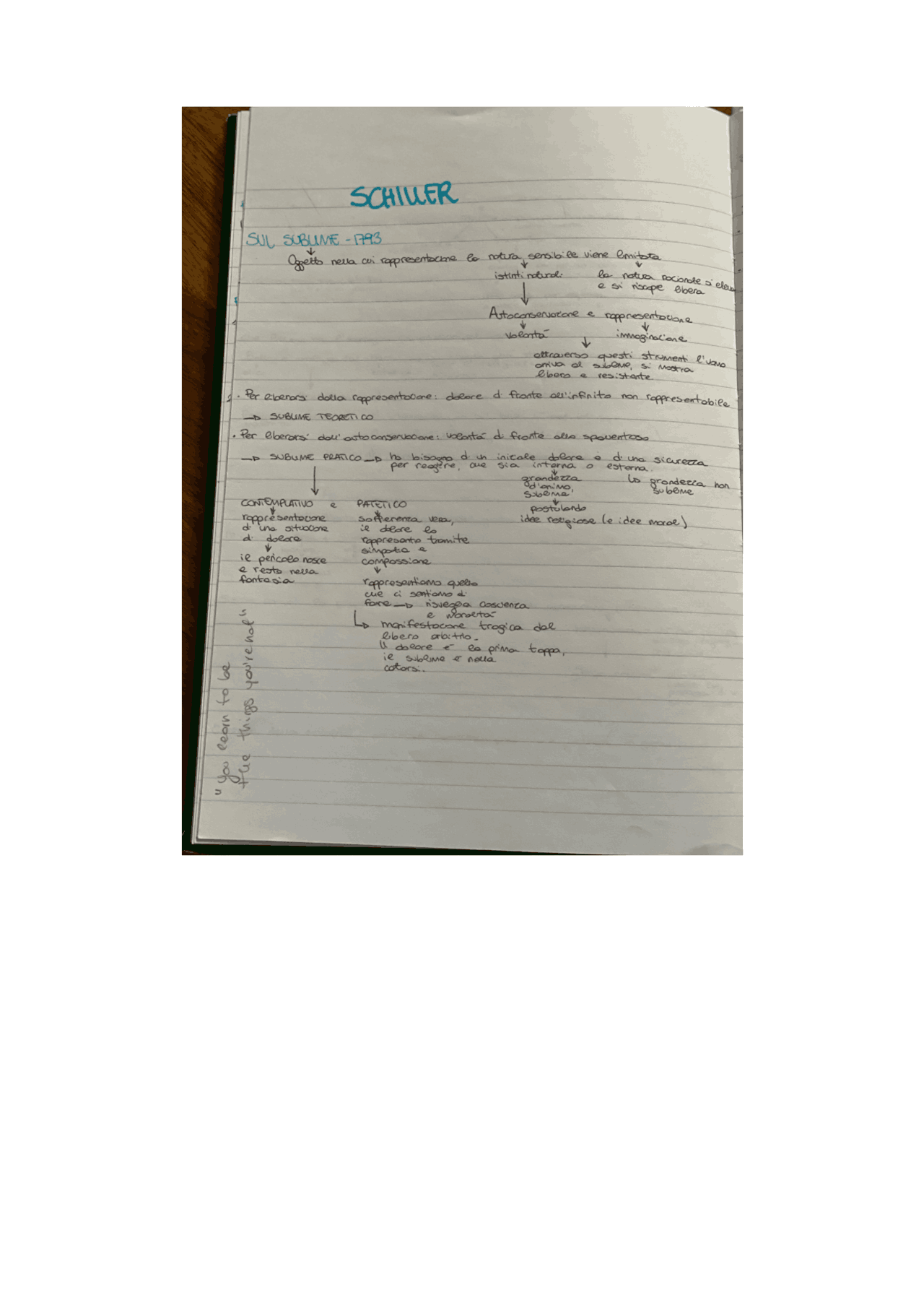 Schemi Del Sublime Schiller Docsity
