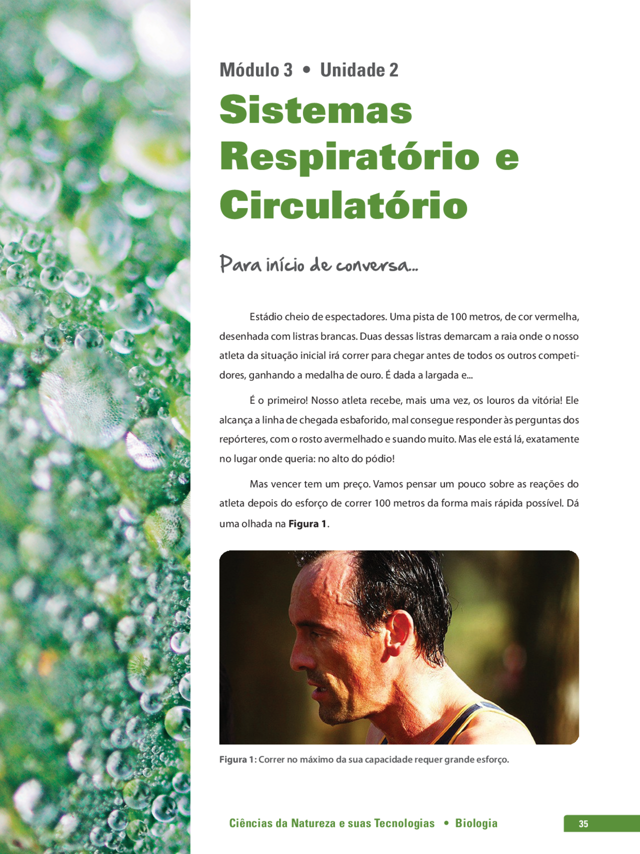 Circulatorio Sistema Docsity
